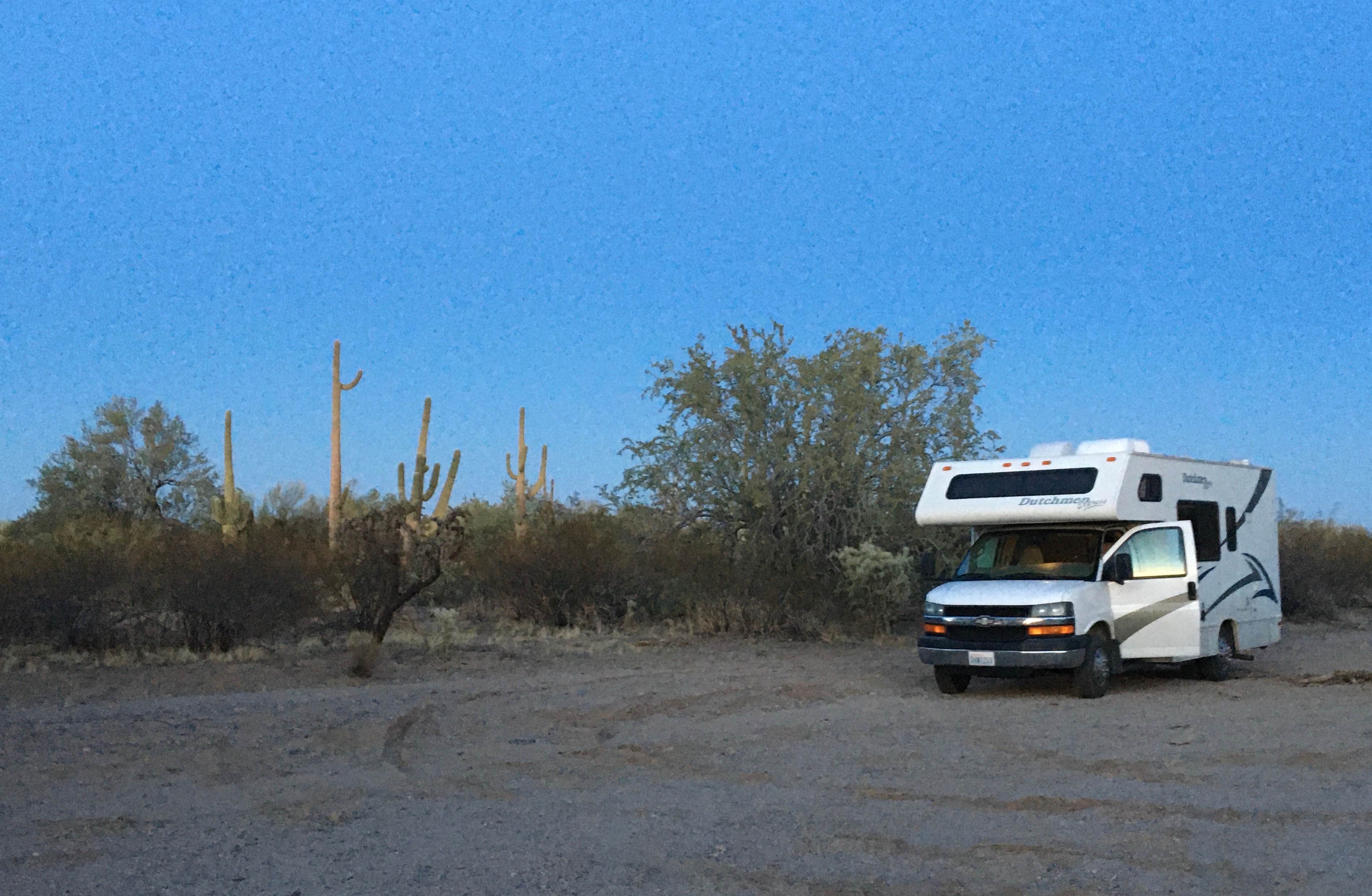Cactus Forest Dispersed Camping | Marana, Arizona