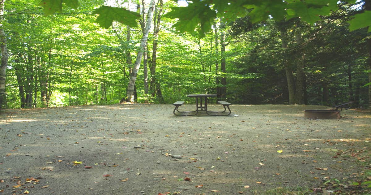 Elmore State Park Campground | Elmore, VT