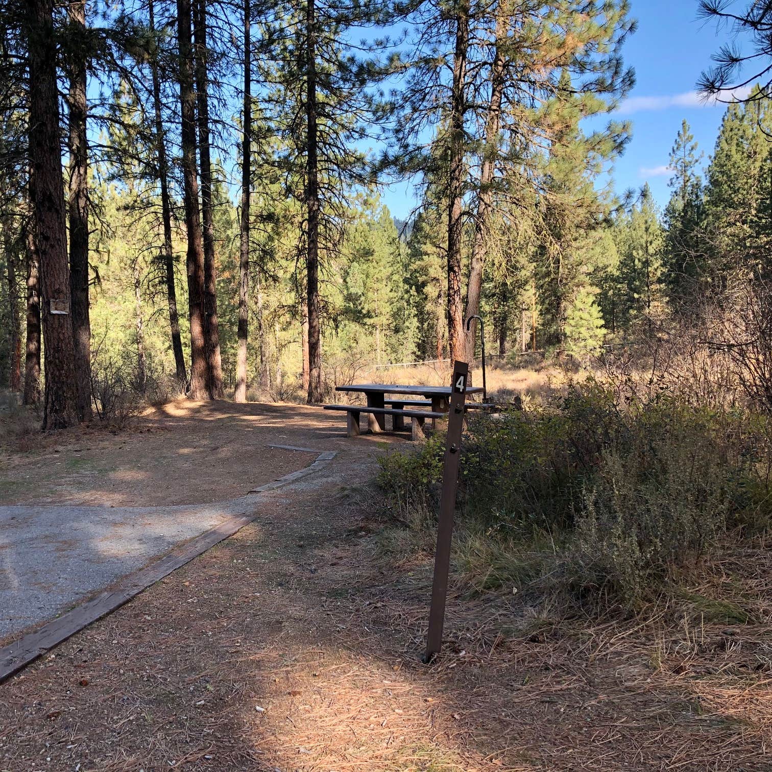 Grayback Campground and Group Sites - Reserve | Idaho City, Idaho