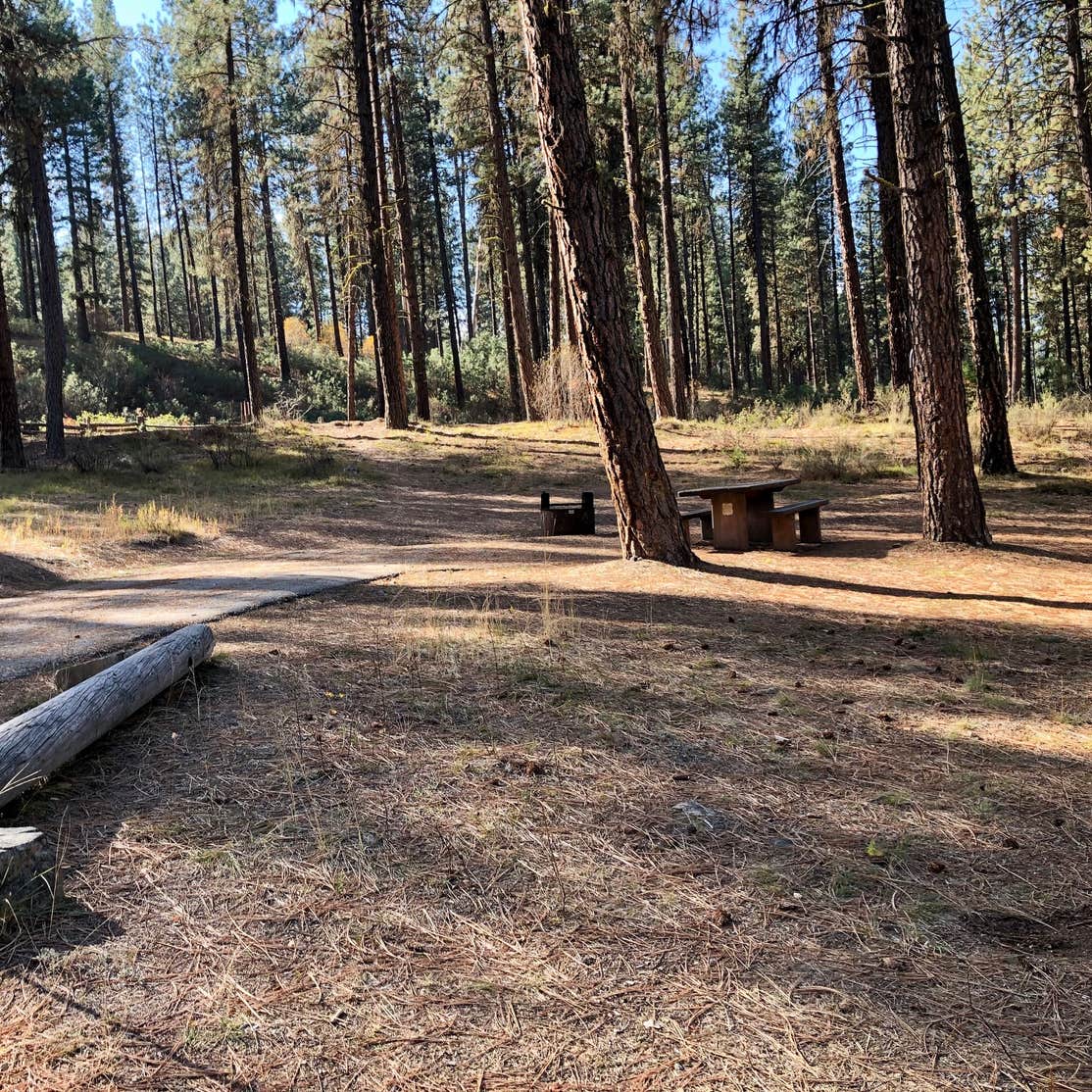 Grayback Campground and Group Sites - Reserve | Idaho City, Idaho