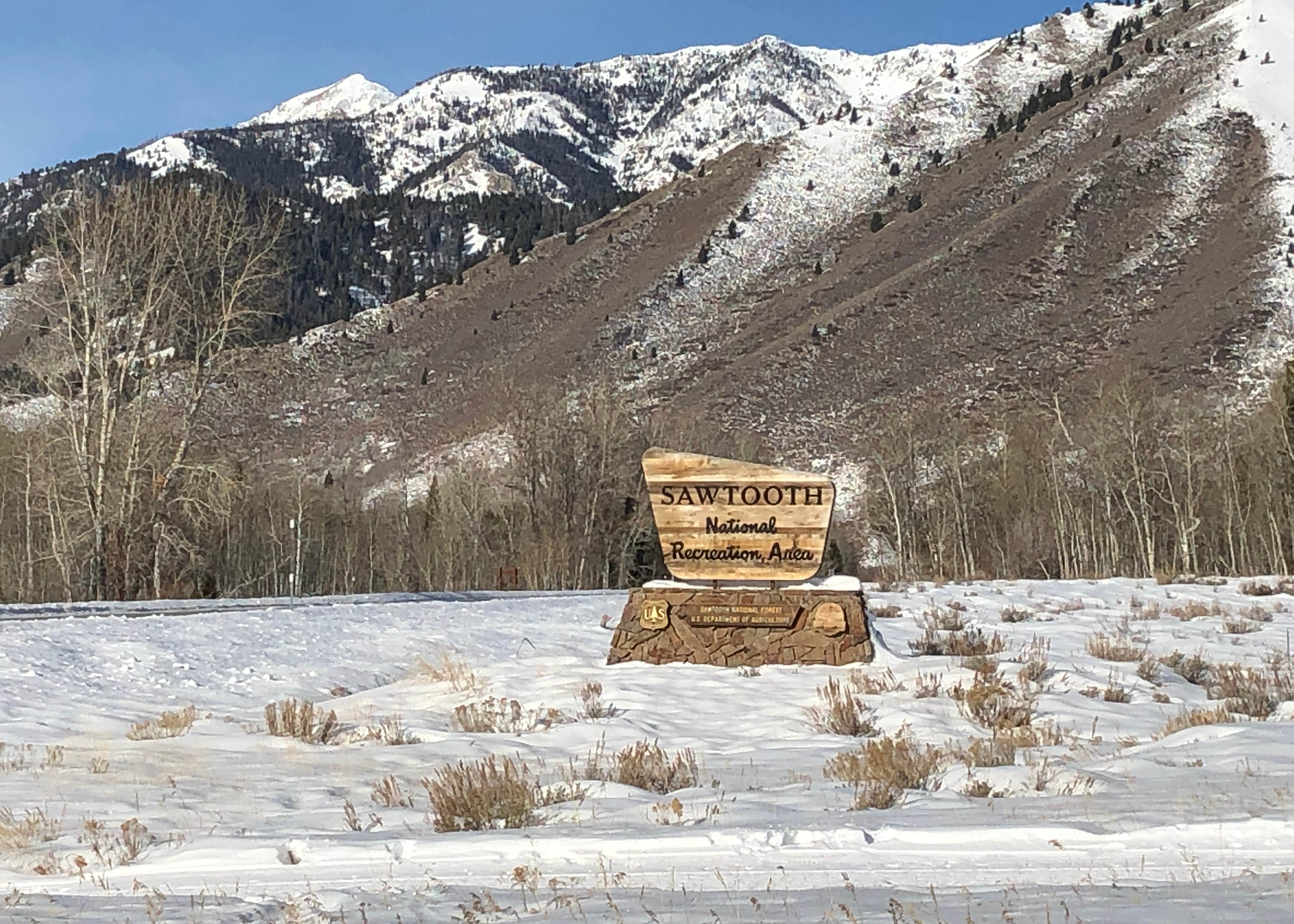 Murdock Creek Dispersed Camping | The Dyrt