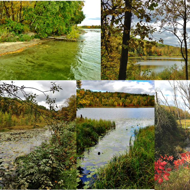 Little Gulch Lake canoe campsite | Laporte, MN
