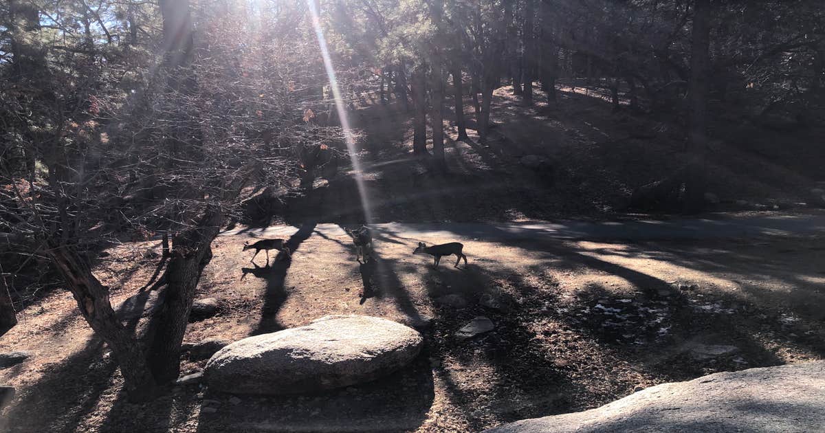 Hualapai Mountain Park Camping | Kingman, AZ