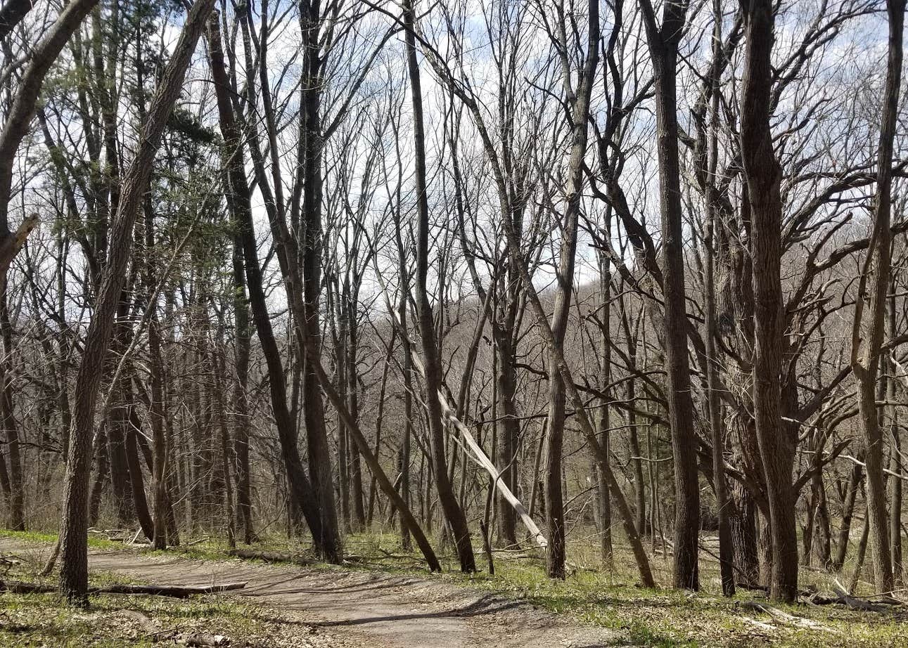 Platte River State Park Camping | The Dyrt