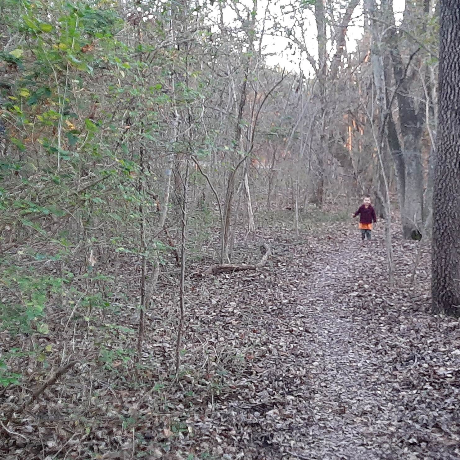 Lake Bonham Recreation Area Camping | Bonham, Texas
