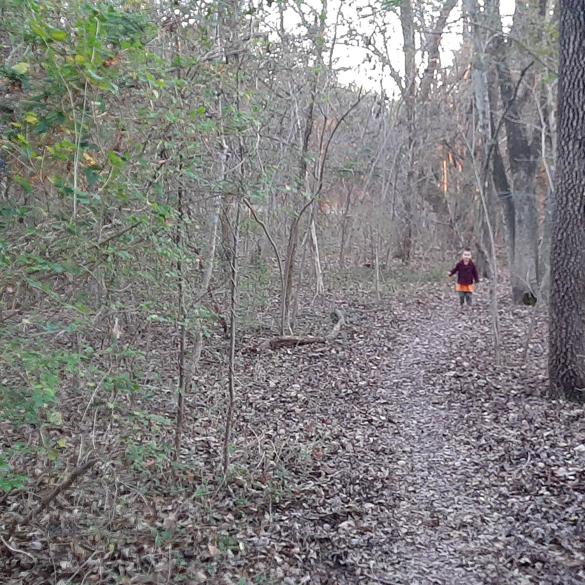 Lake Bonham Recreation Area Camping | Bonham, Texas