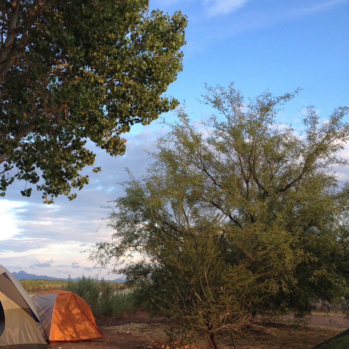BLM Oxbow Campground Camping | The Dyrt