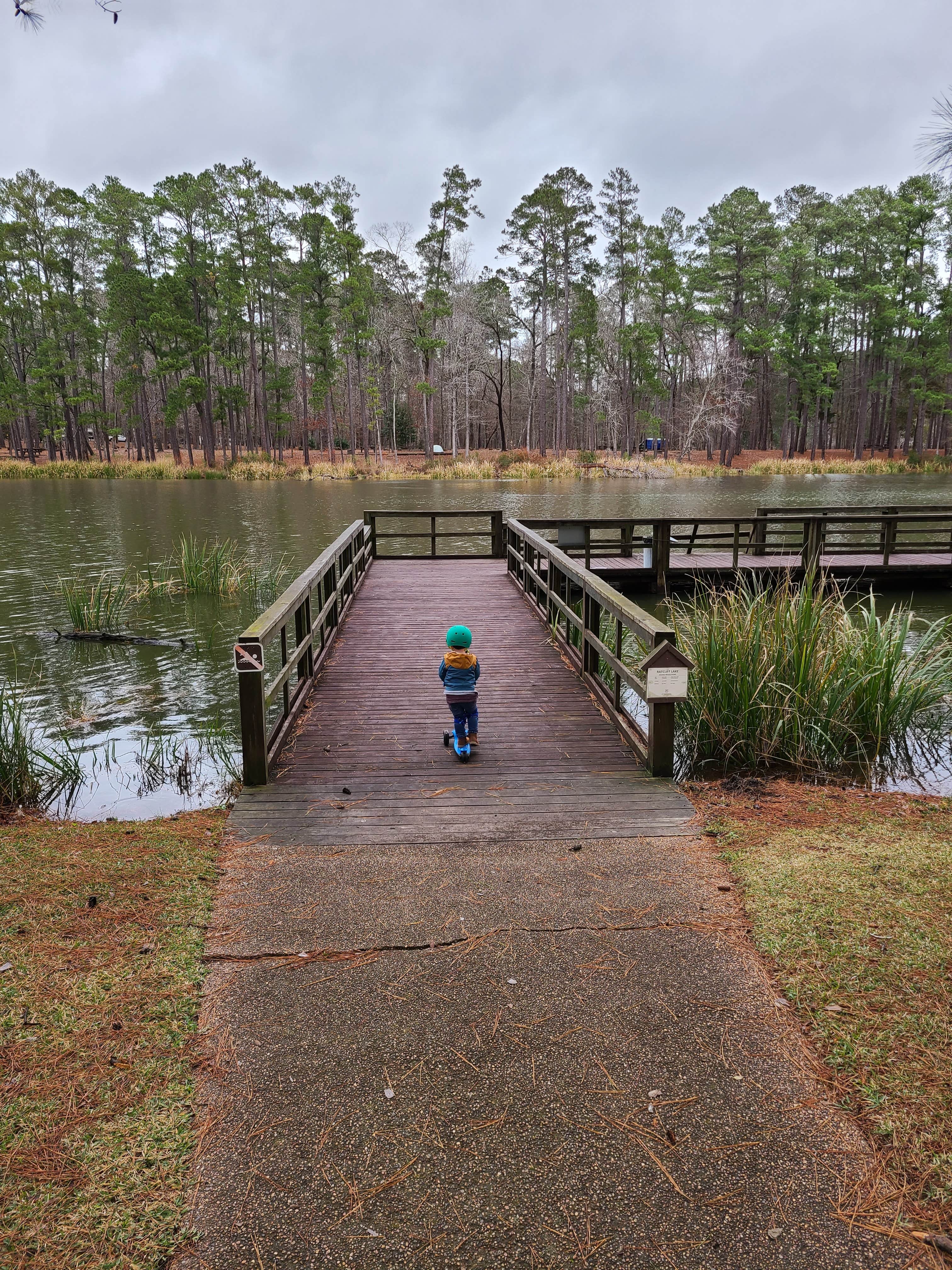 Ratcliff Lake Recreation Area | The Dyrt