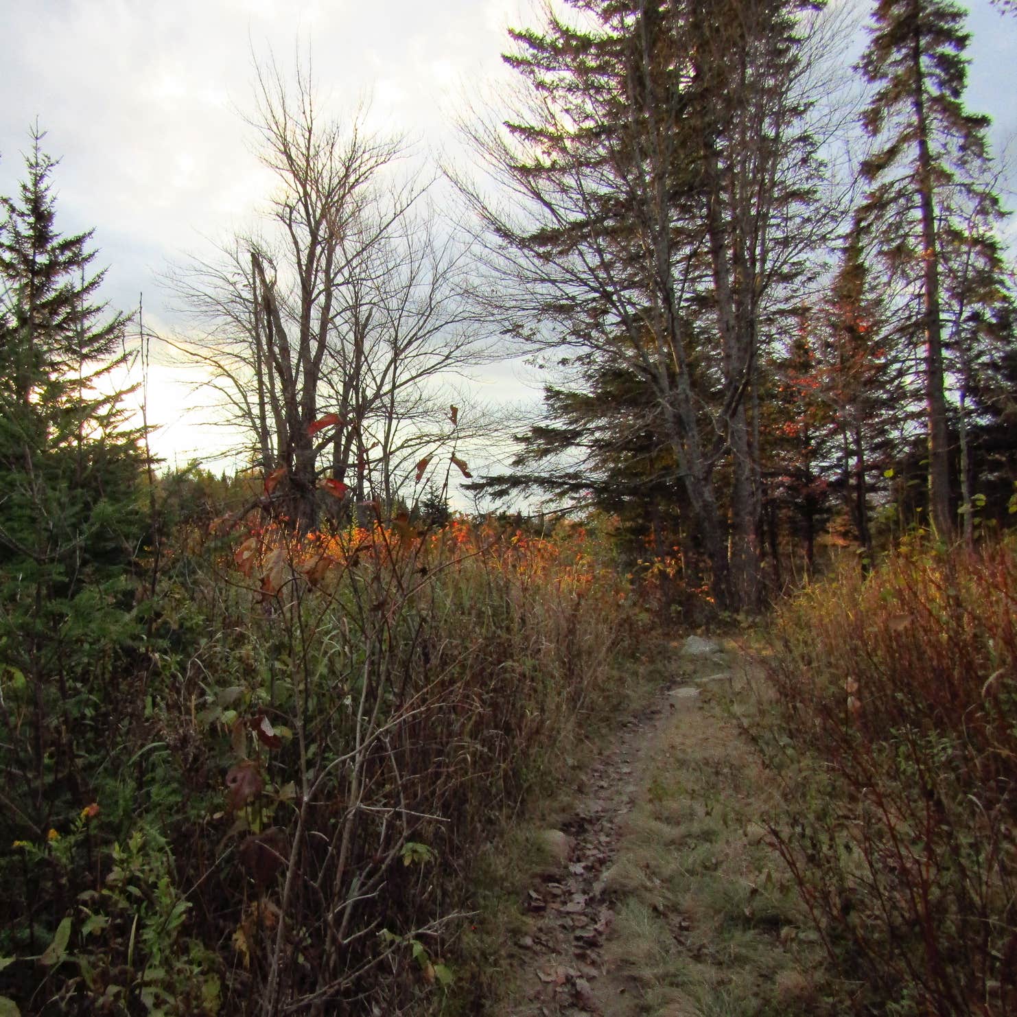 Attean Falls Camping | Jackman, Maine