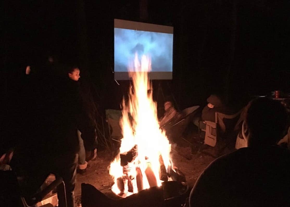 Mission Tejas State Park Camping | The Dyrt