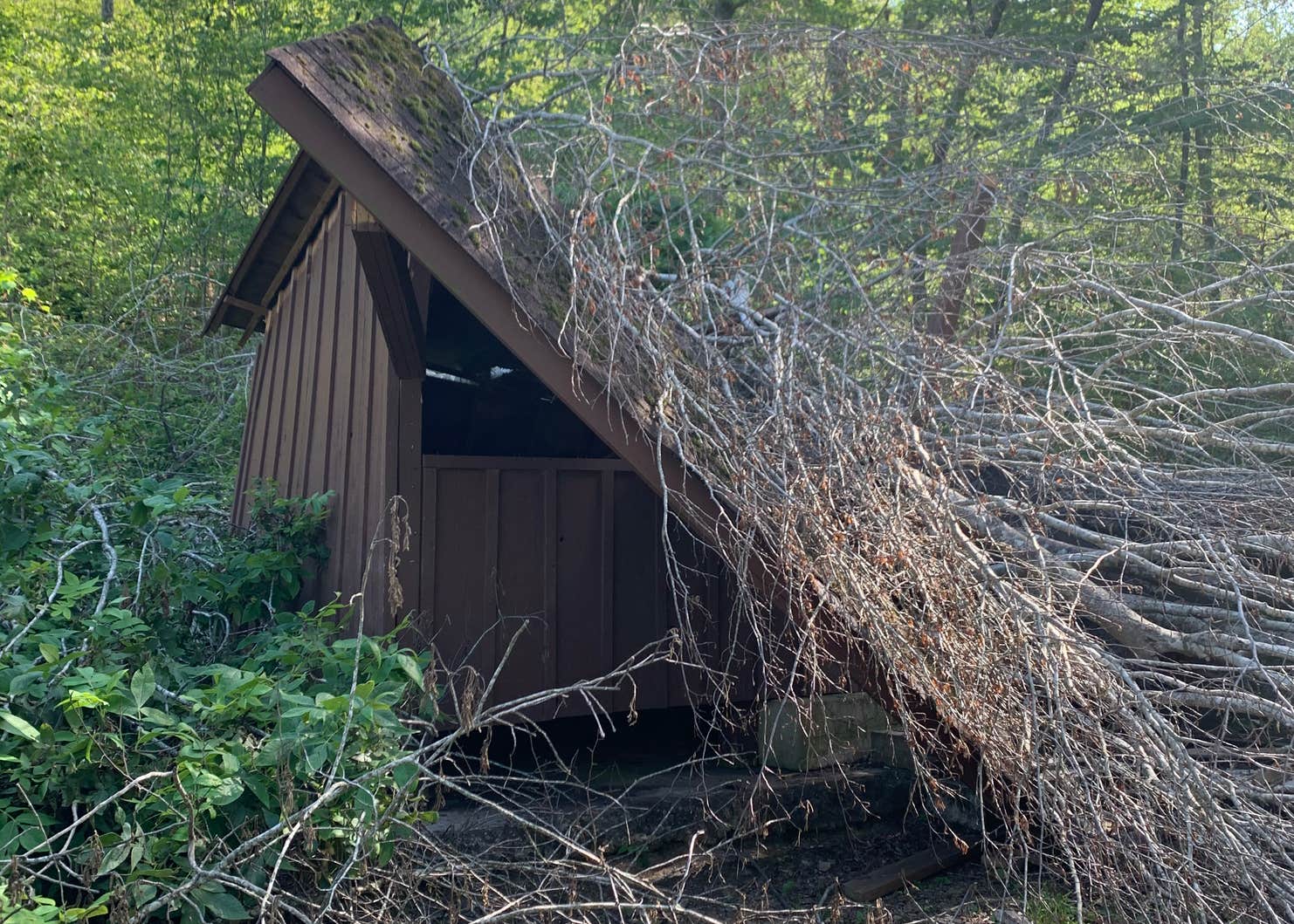 Bard Springs Campground - CLOSED TEMPORARILY Camping | The Dyrt