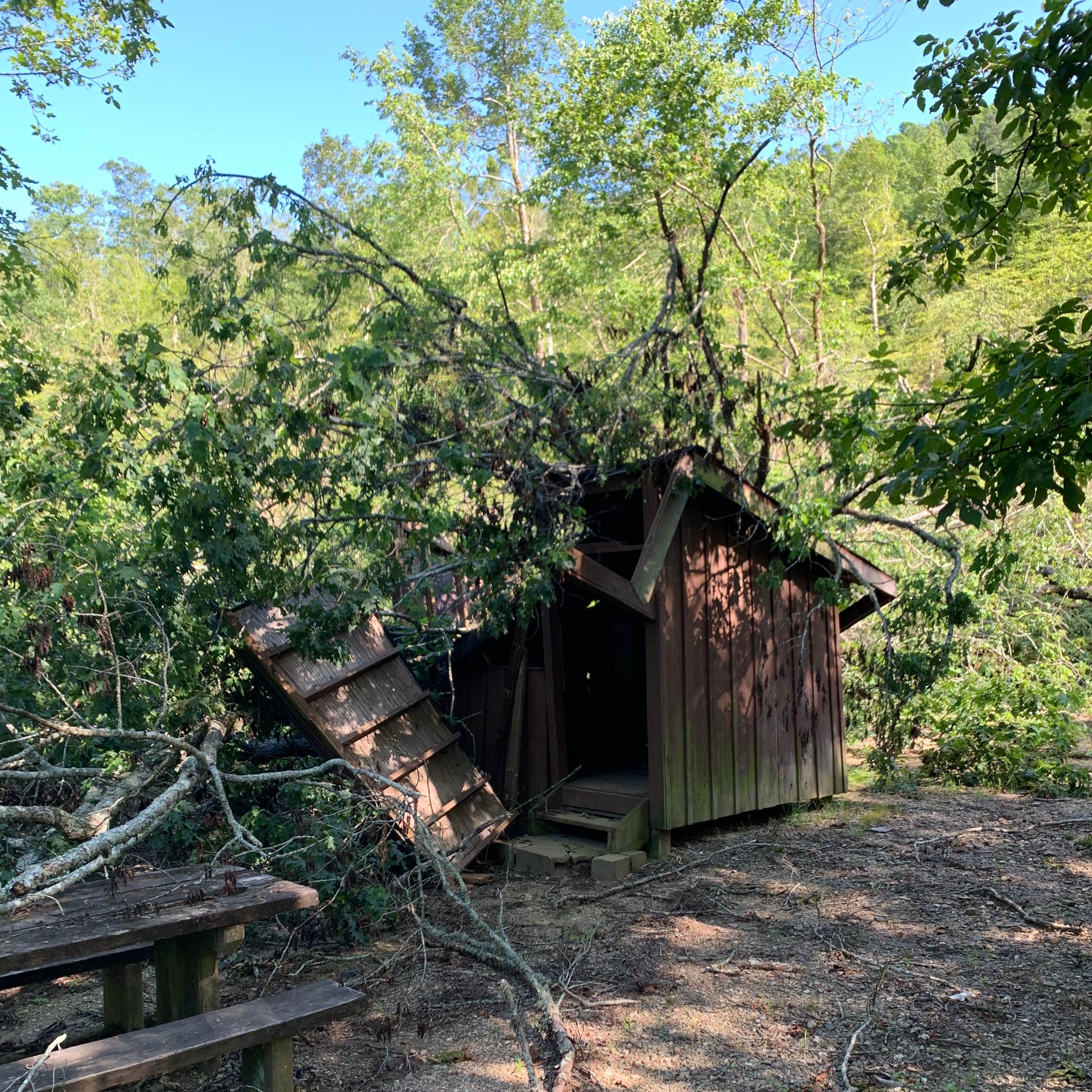 Bard Springs Campground - CLOSED TEMPORARILY Camping | The Dyrt