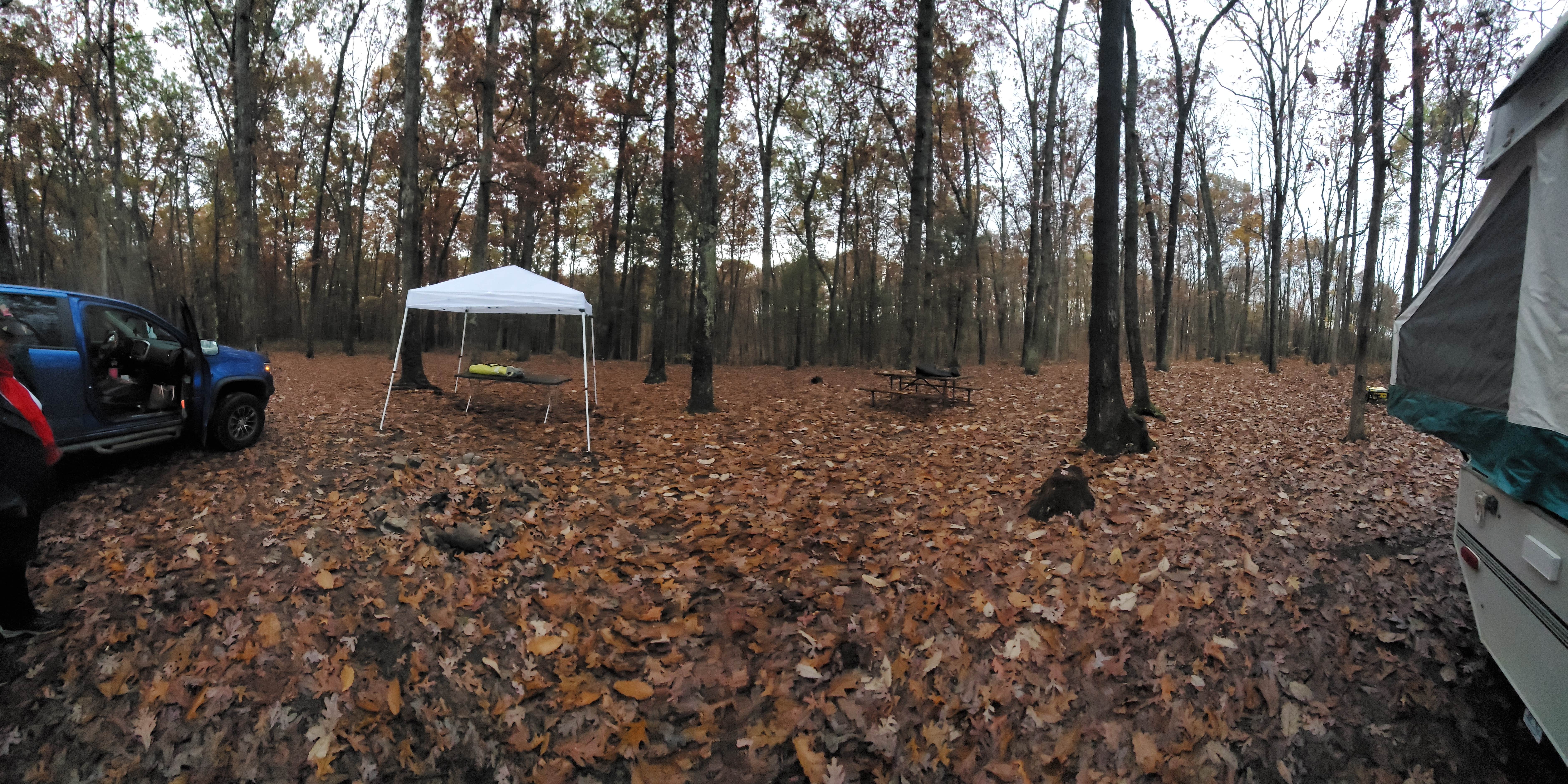 Green Ridge State Forest | The Dyrt