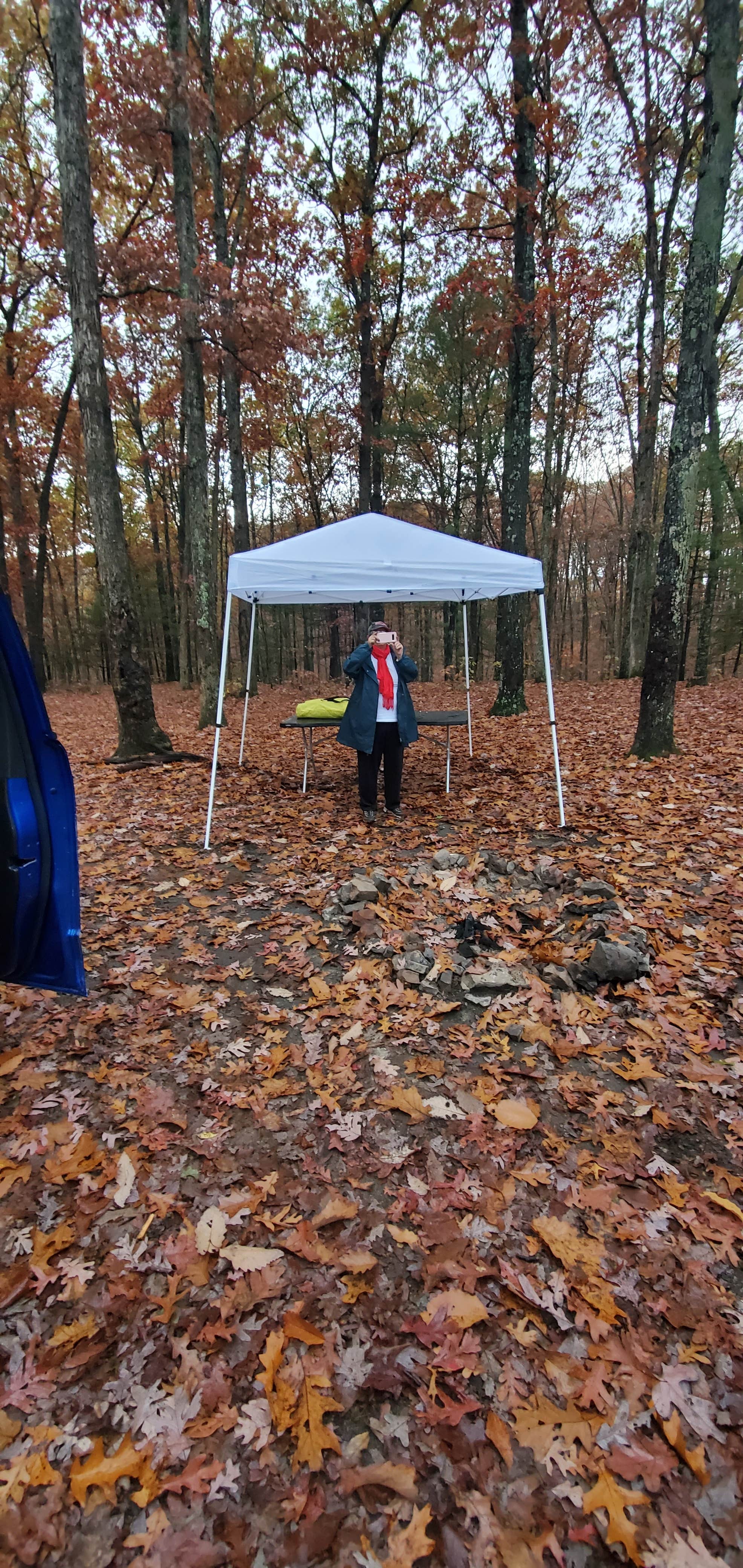 Green Ridge State Forest | The Dyrt