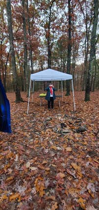 Green Ridge State Forest | The Dyrt