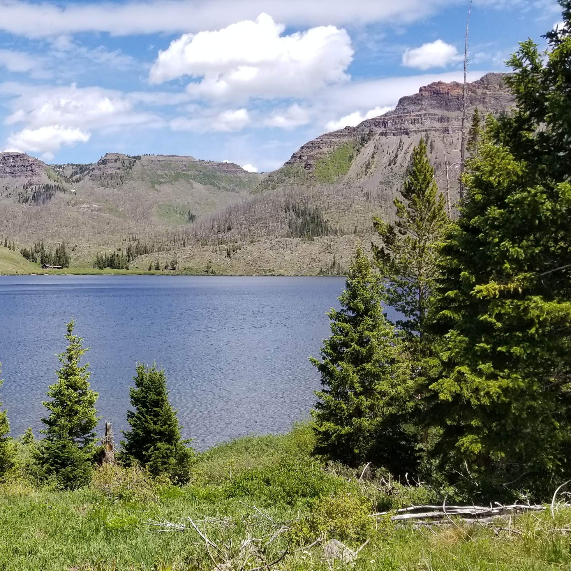 Trappers Lake Horse Thief Campground Camping | The Dyrt