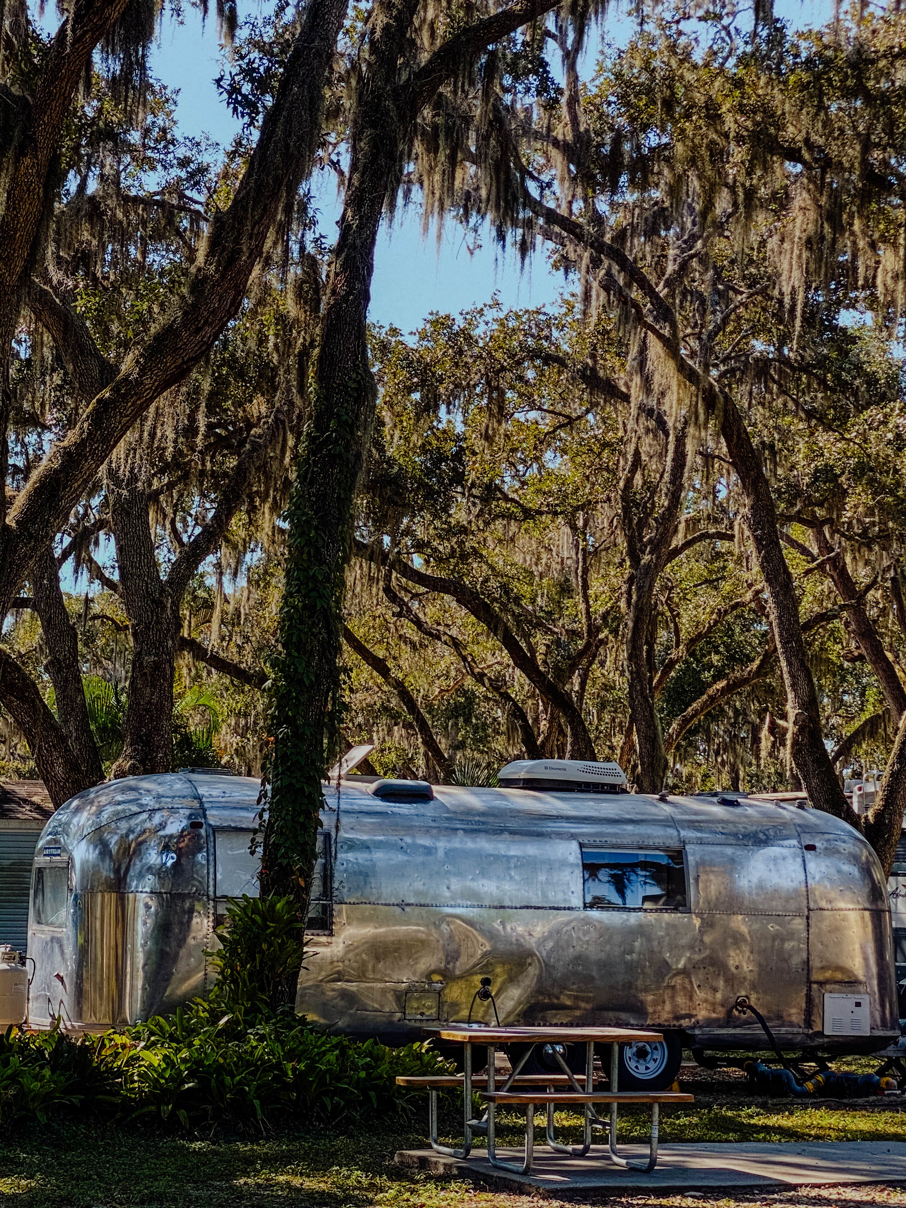 Frog Creek RV Resort & Campground | Palmetto, FL