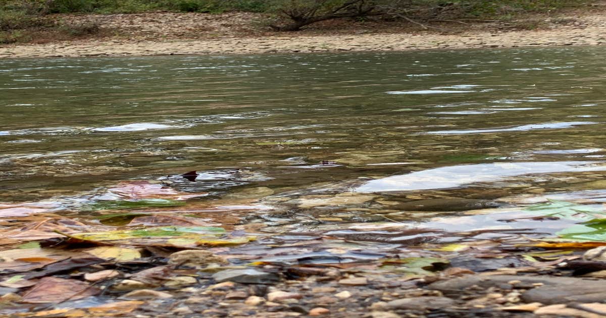 Kyles Landing Campground — Buffalo National River | Harrison, AR