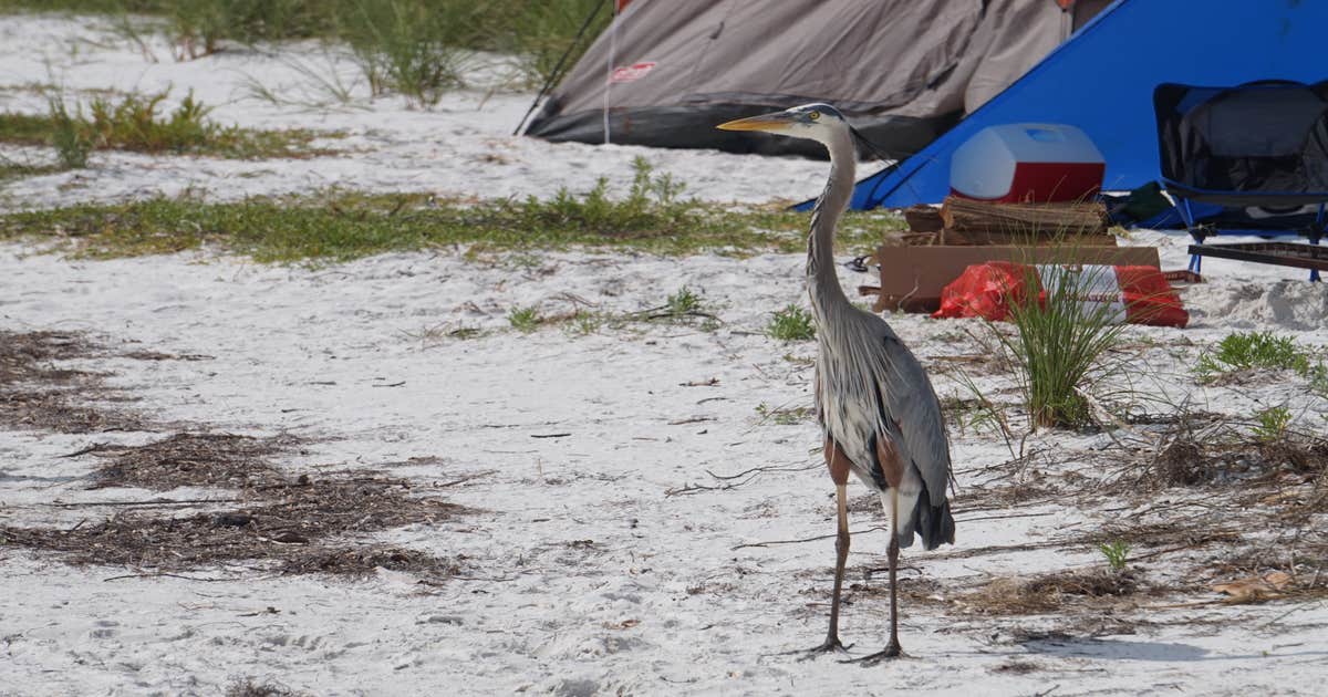 Shell Key Preserve Camping | Tierra Verde, Florida