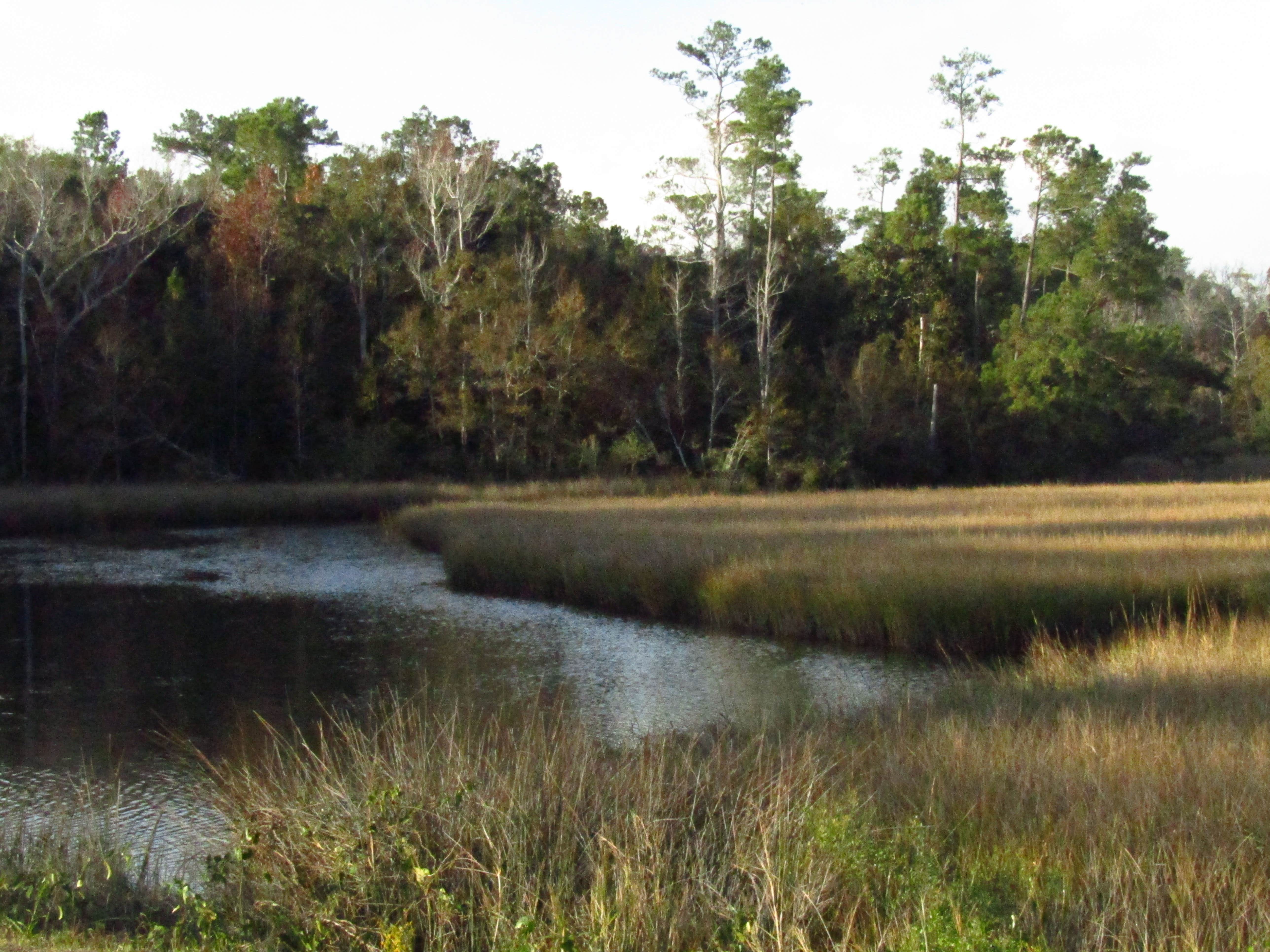 Davis Bayou Campground — Gulf Islands National Seashore | Ocean Springs, MS