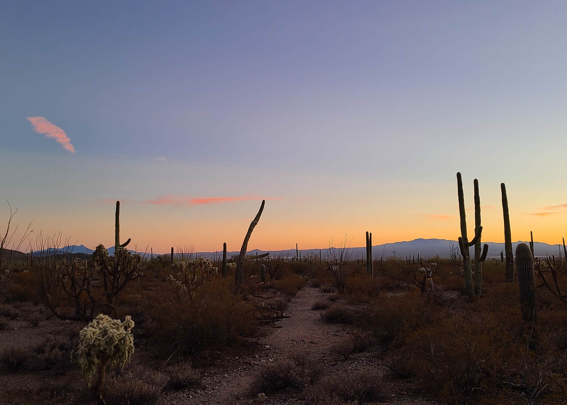 Gilbert Ray Campground Camping | The Dyrt