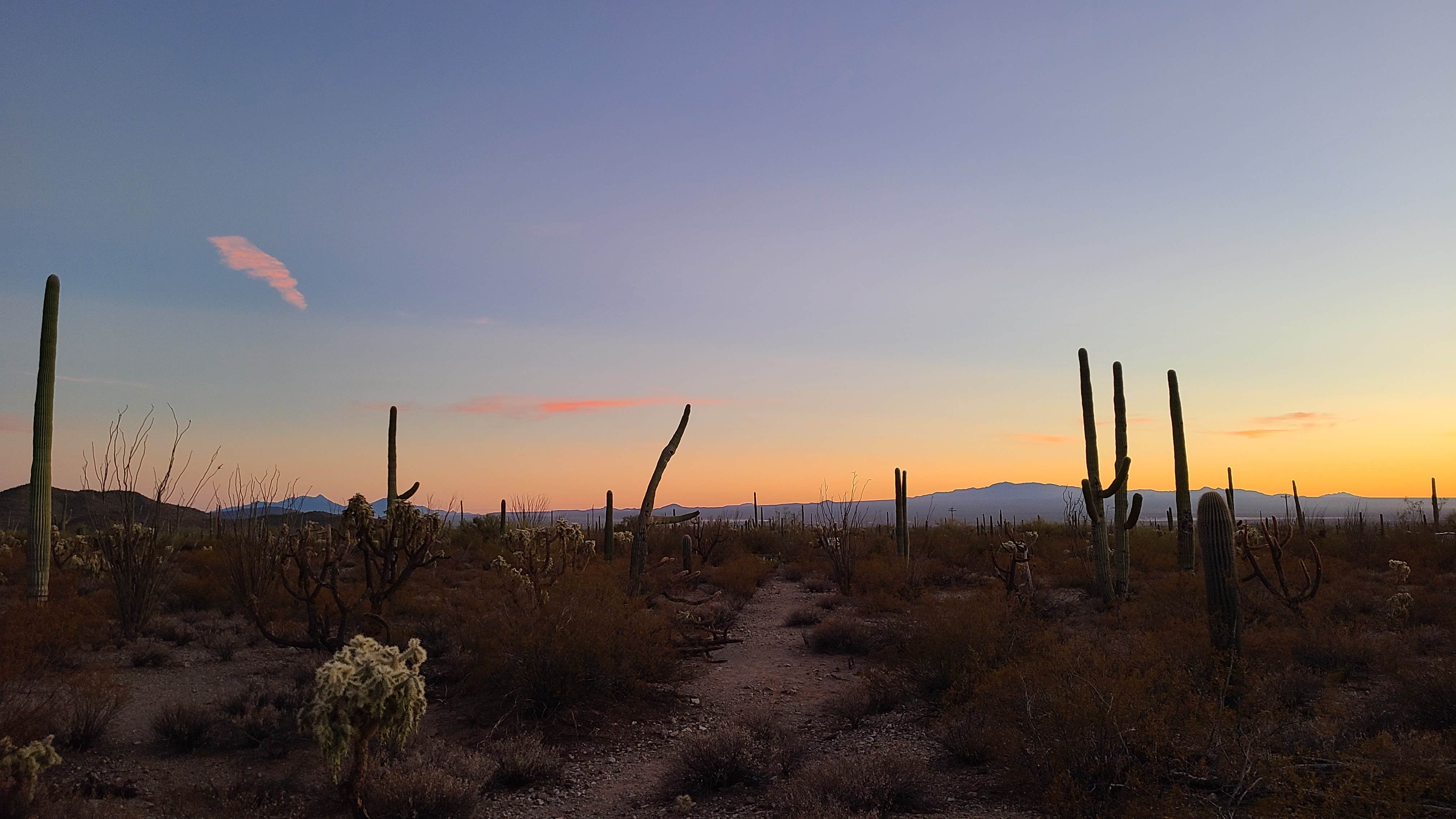 Gilbert Ray Campground | Tucson, AZ