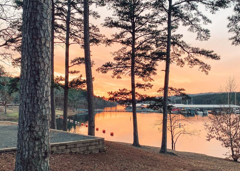 Lake Ouachita State Park Camping | The Dyrt