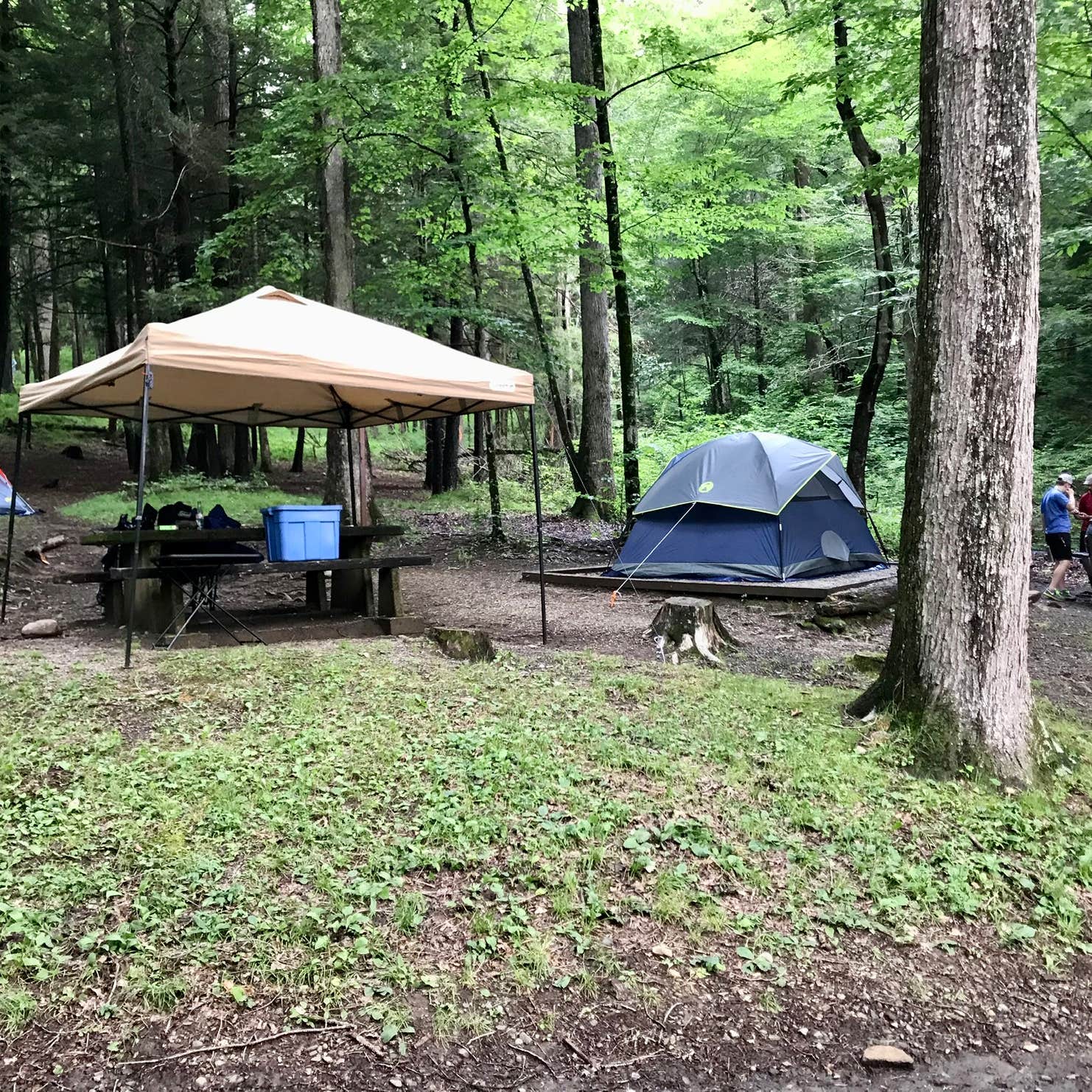 Black Mountain Campground | Burnsville, NC