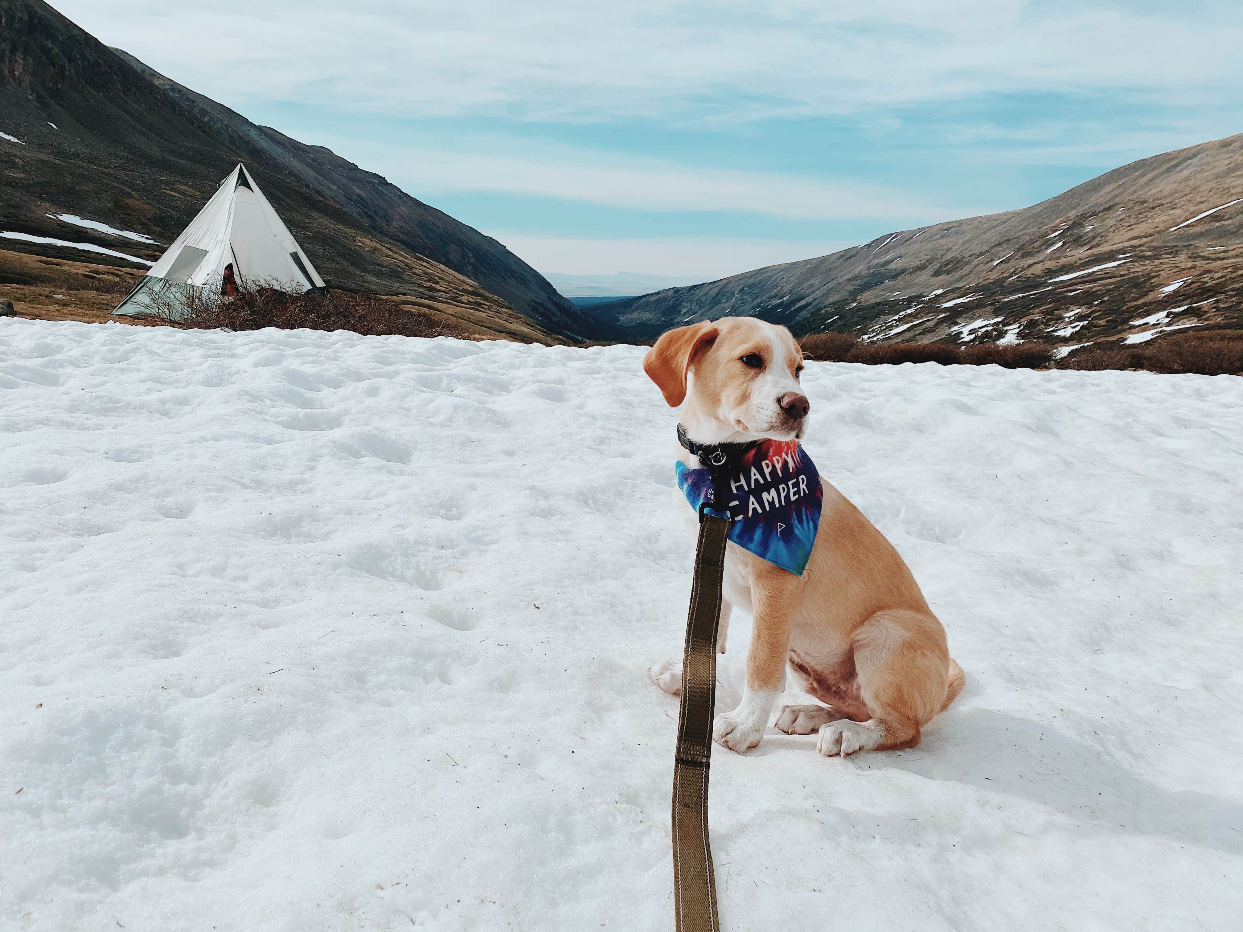 Kite Lake | The Dyrt