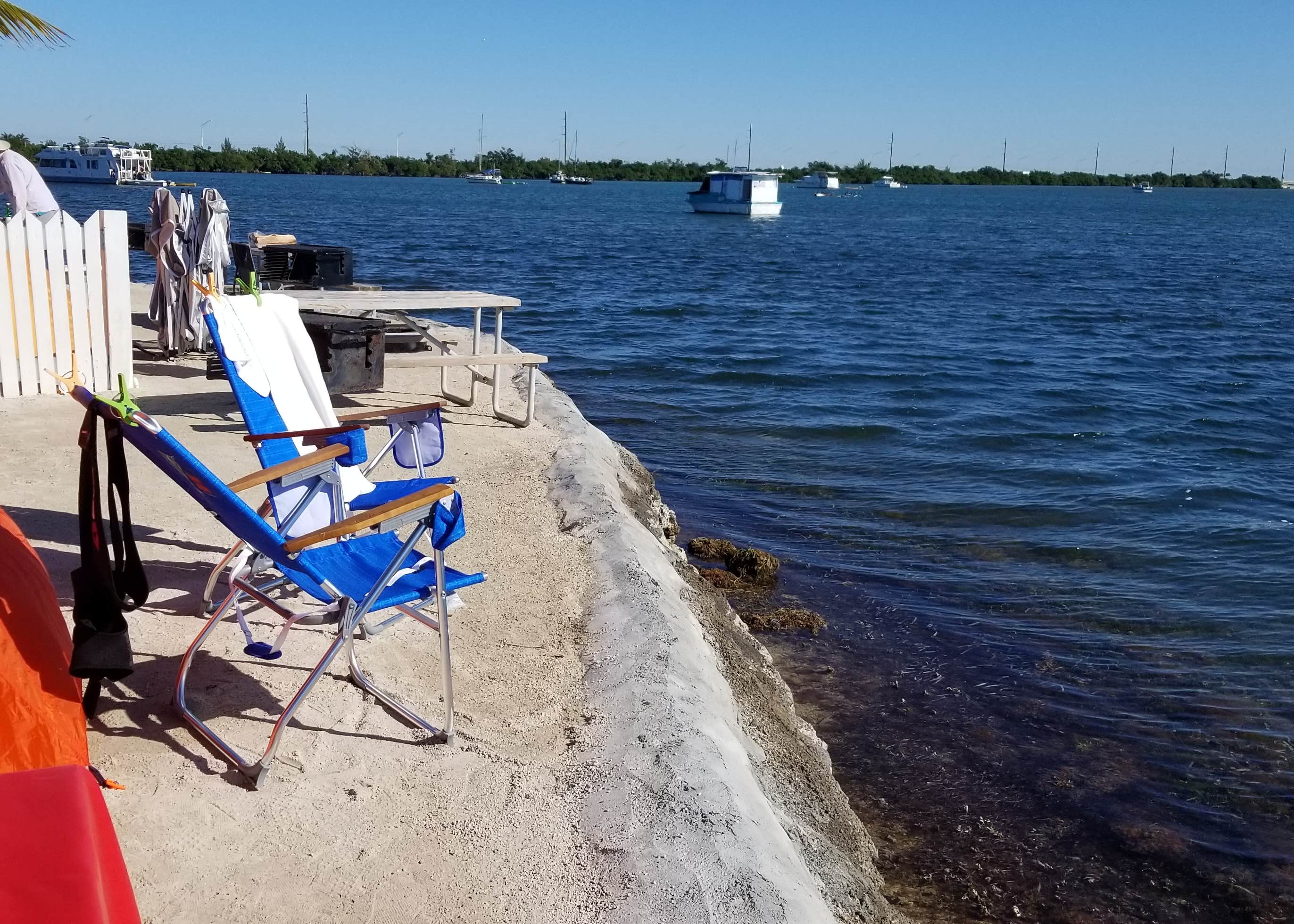 Boyd's Key West Campground Camping | The Dyrt