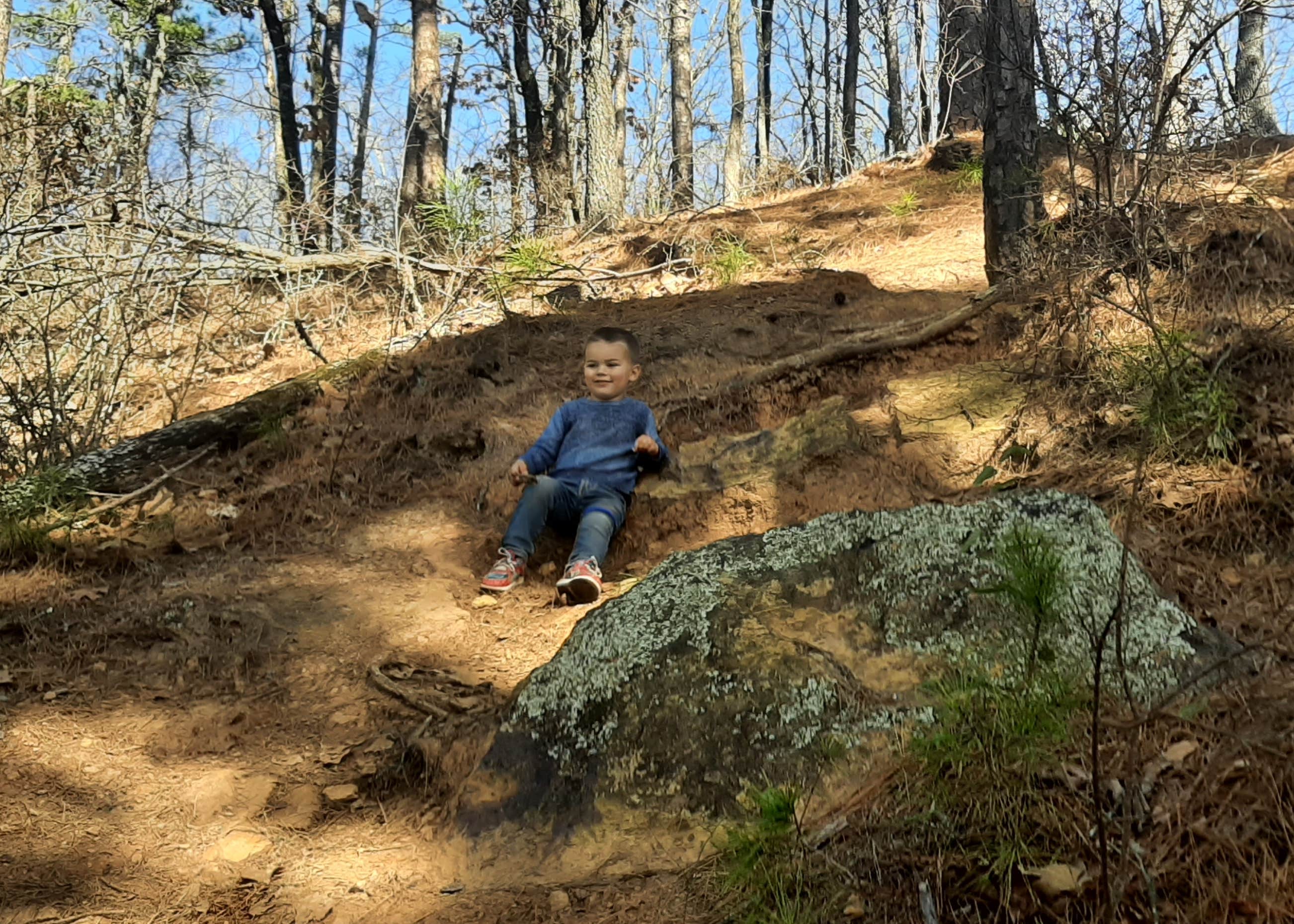 Daingerfield State Park Camping | The Dyrt