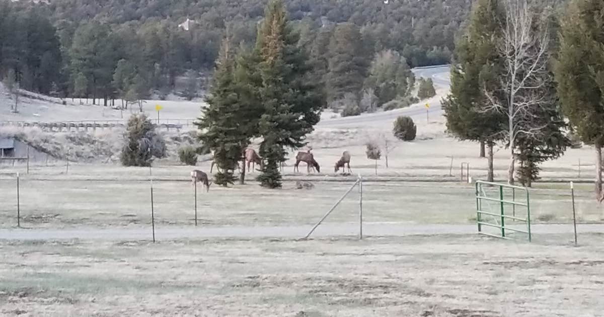 Little Creek RV Park | Alto, NM