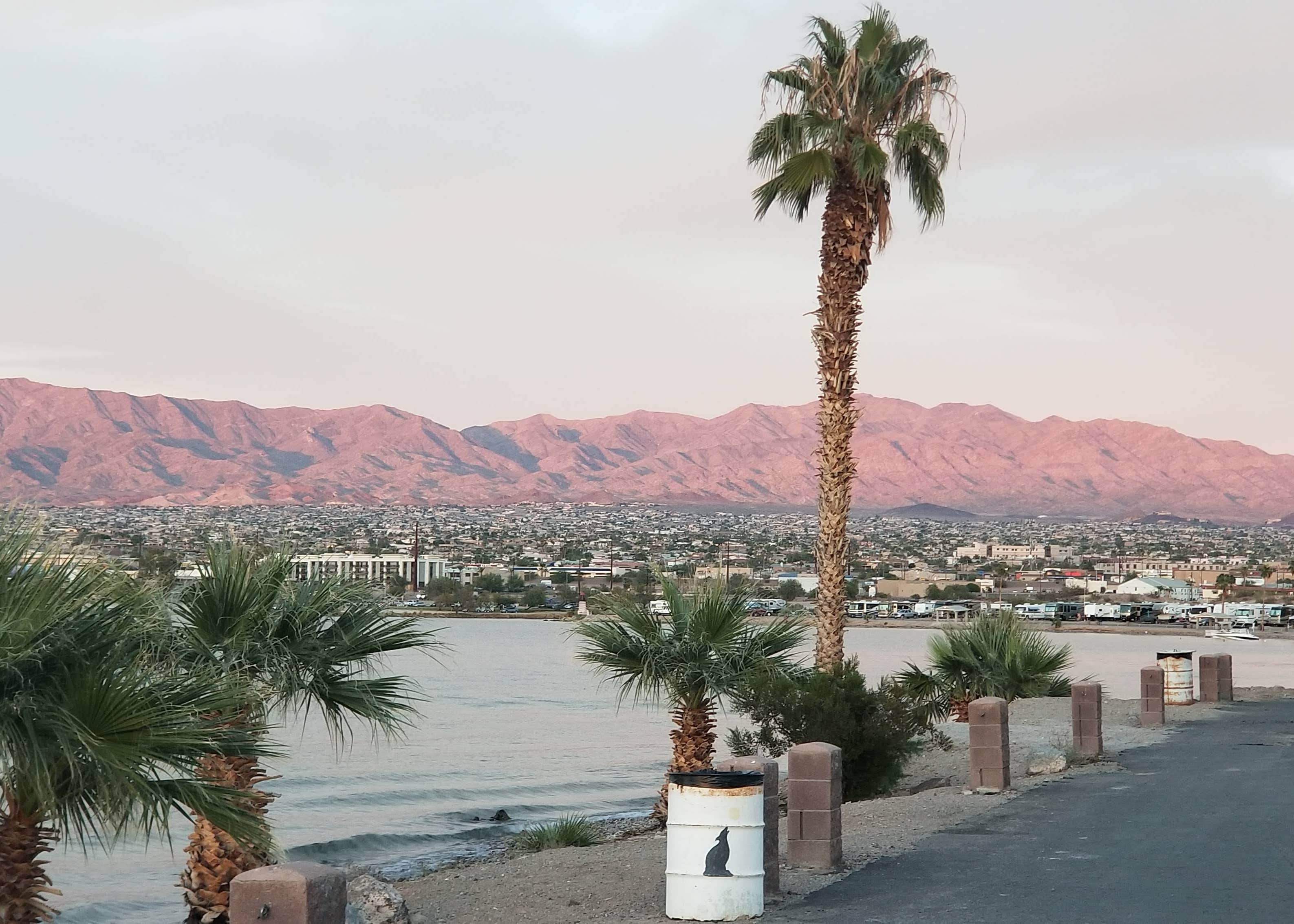 Prospectors Park RV Resort Camping | The Dyrt