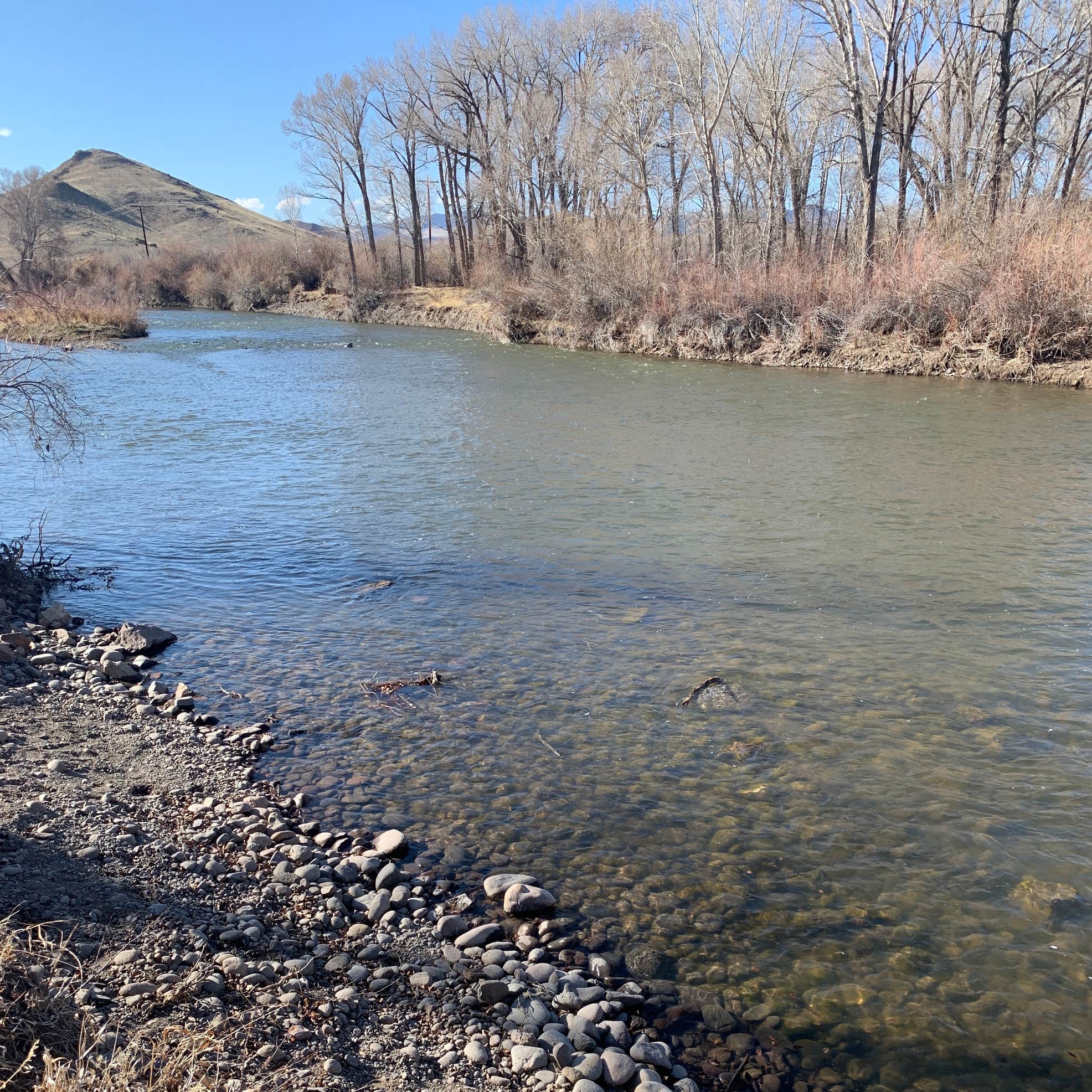 Woods & River RV Park Camping | The Dyrt