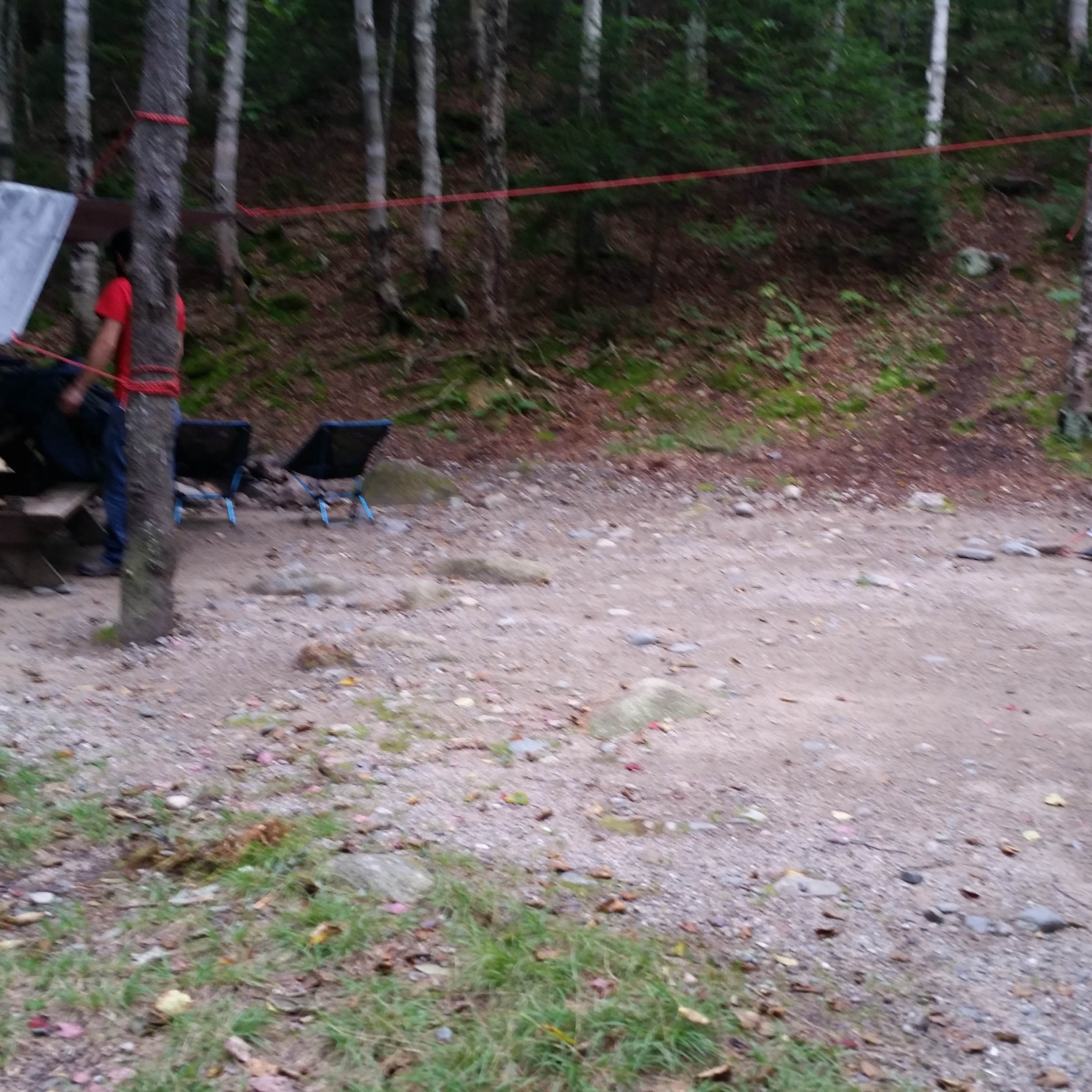 Roaring Brook Campground Camping | The Dyrt