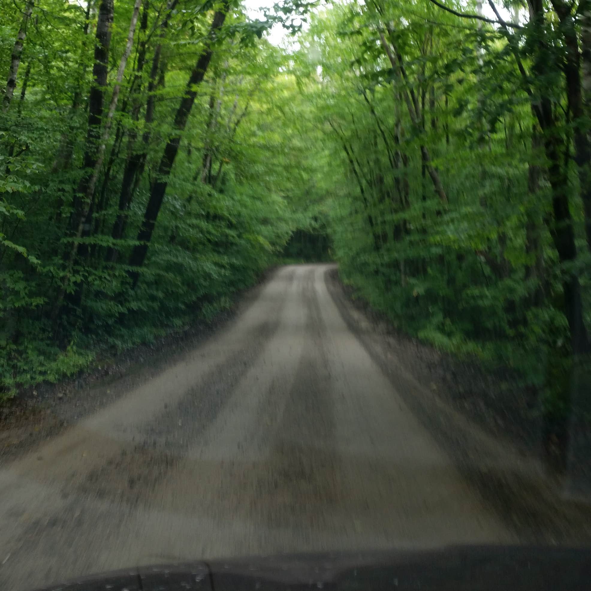 Roaring Brook Campground Camping | The Dyrt