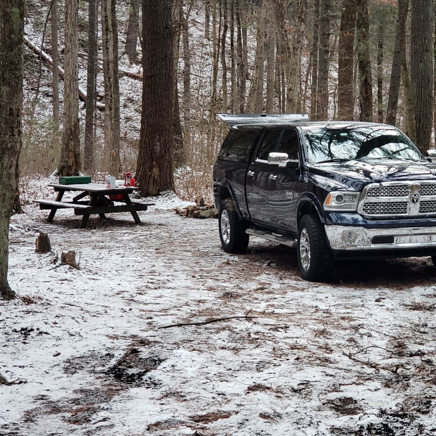 Braley Pond Dispersed Camping & Day Use Area Camping | The Dyrt