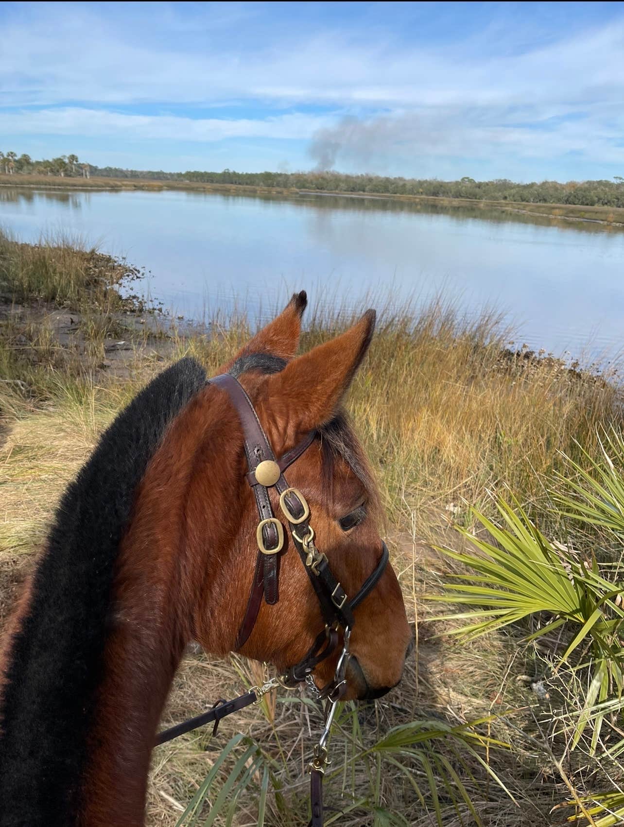 Princess Place Preserve Camping | Palm Coast, FL