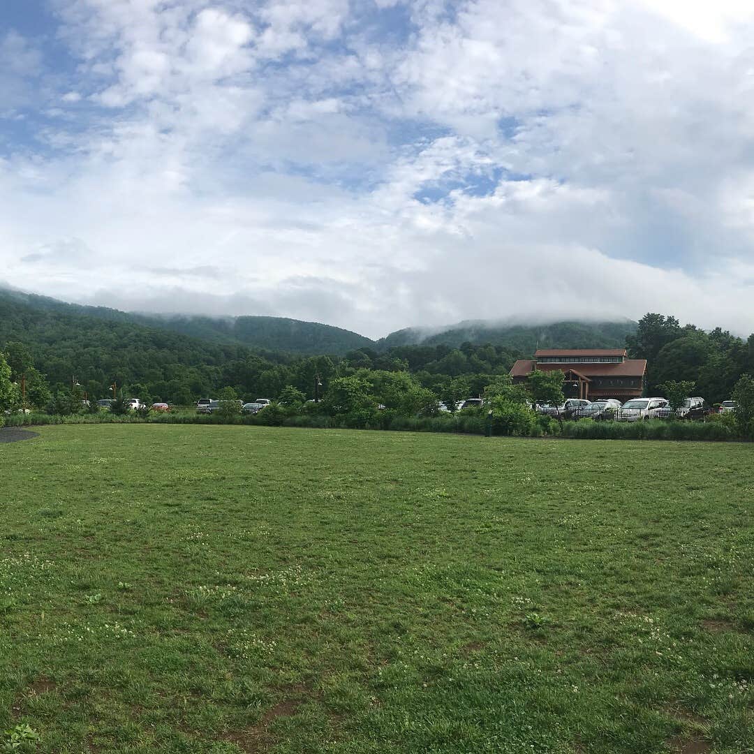 Devils Backbone Camp | Nellysford, Virginia