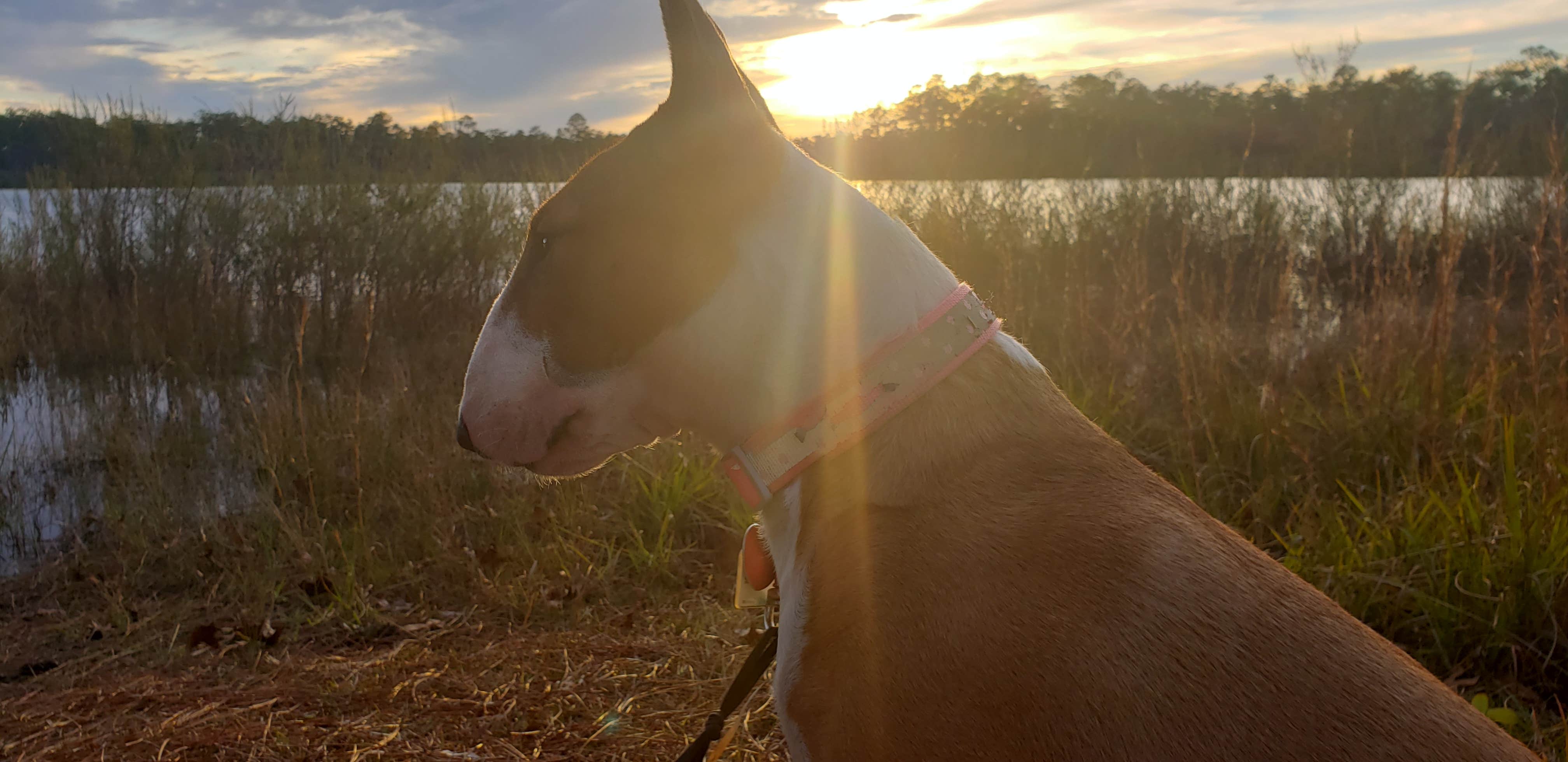 Camel Lake Campground | The Dyrt