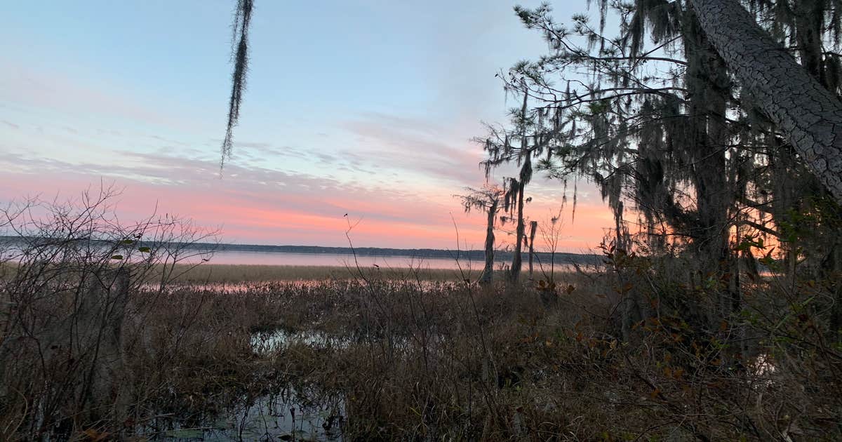 Osceola National Forest Hog Pen Landing Campground | Olustee, Florida
