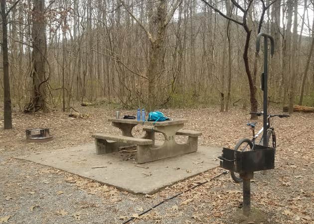 Gee Creek Campground Camping | The Dyrt
