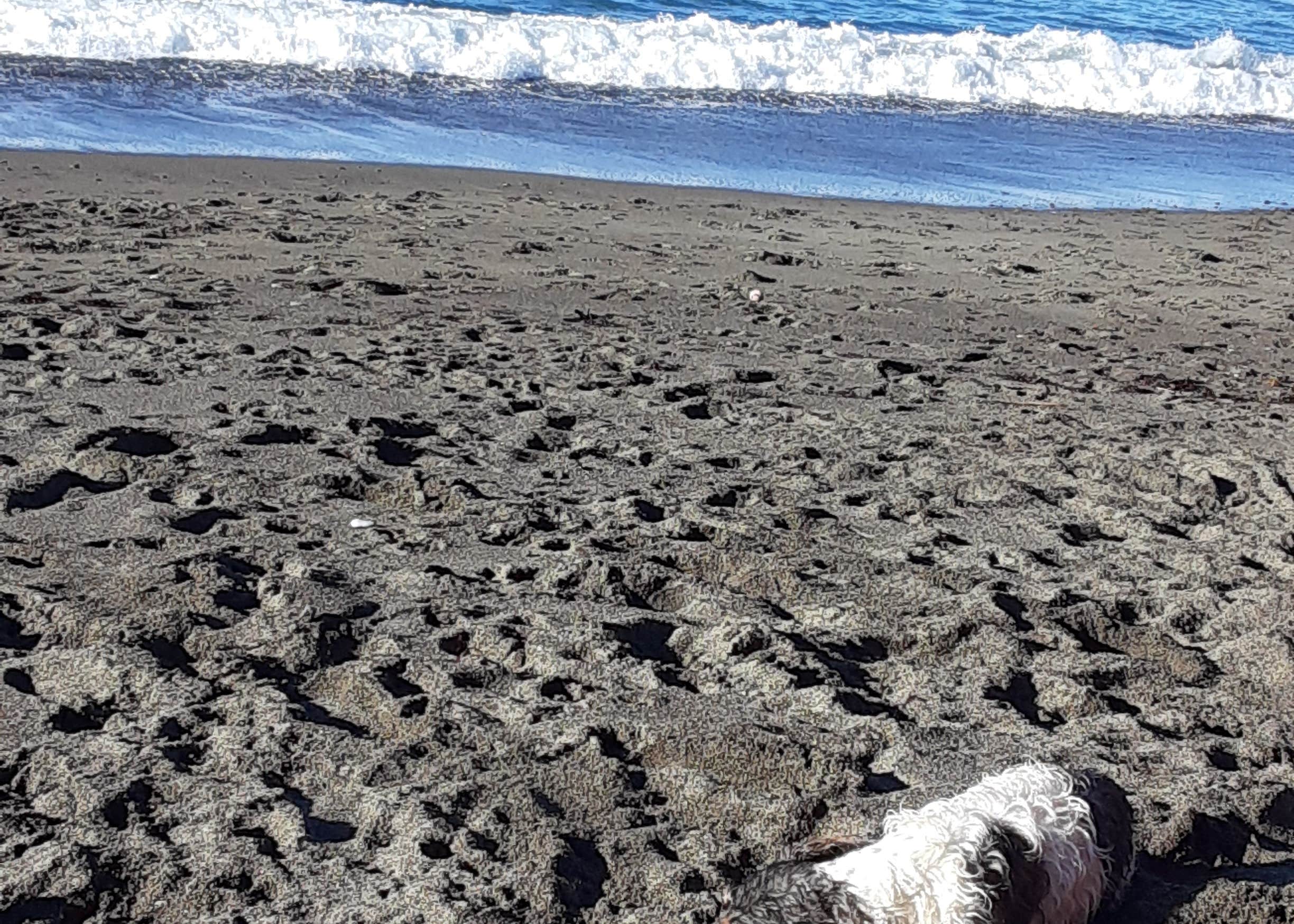 Cleone Campground Camping | The Dyrt