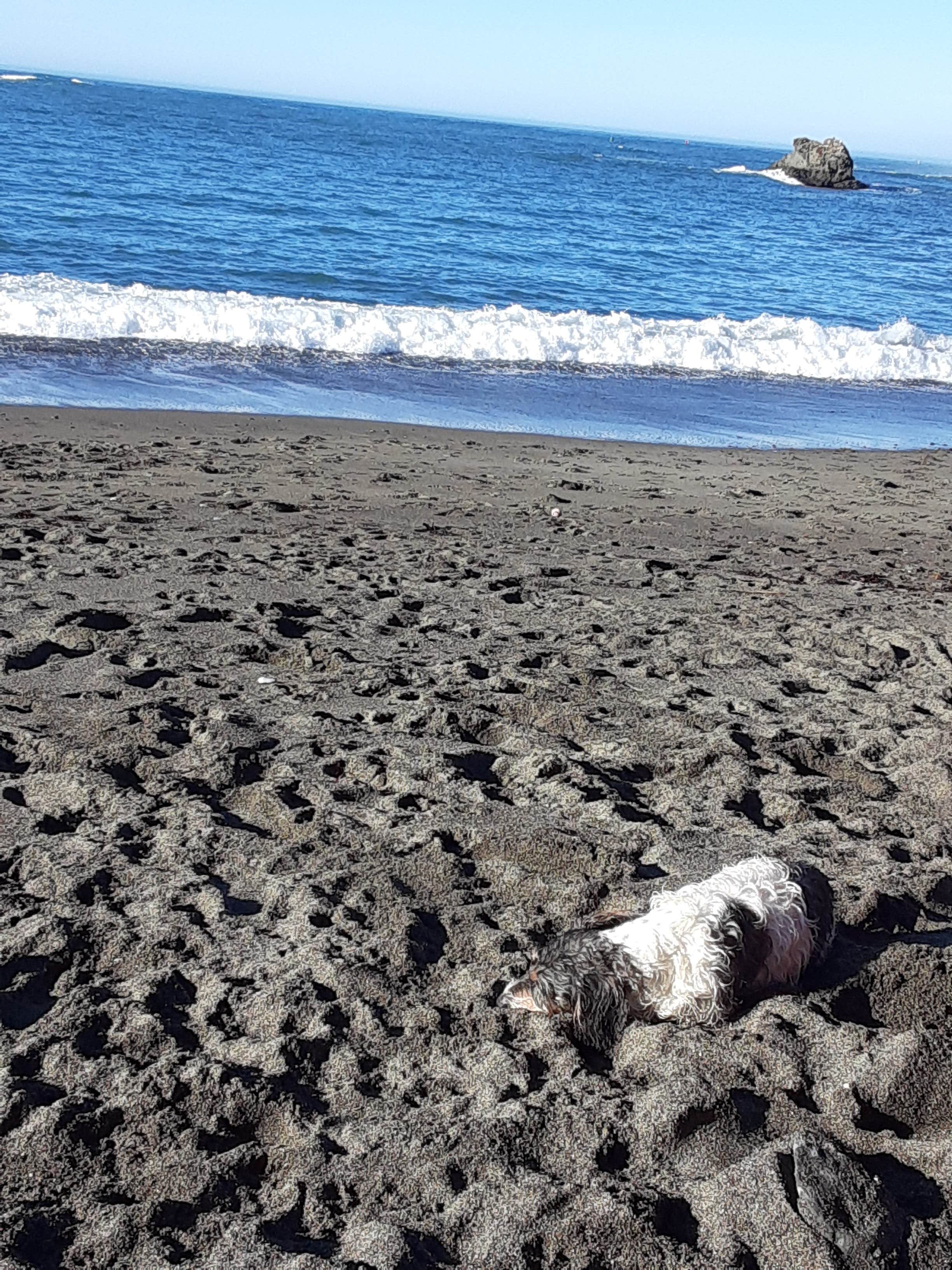 Cleone Campground | Fort Bragg, CA