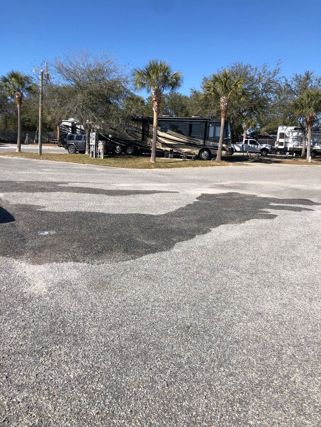 Emerald Beach RV Park Camping | The Dyrt