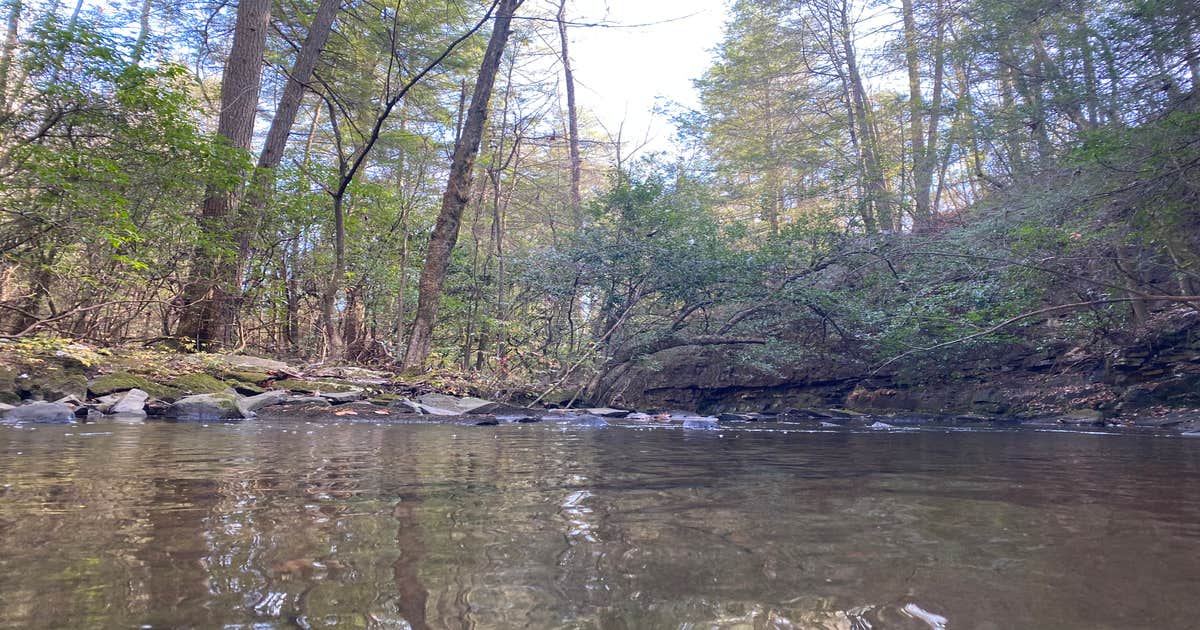 Foster Falls Campground | The Dyrt