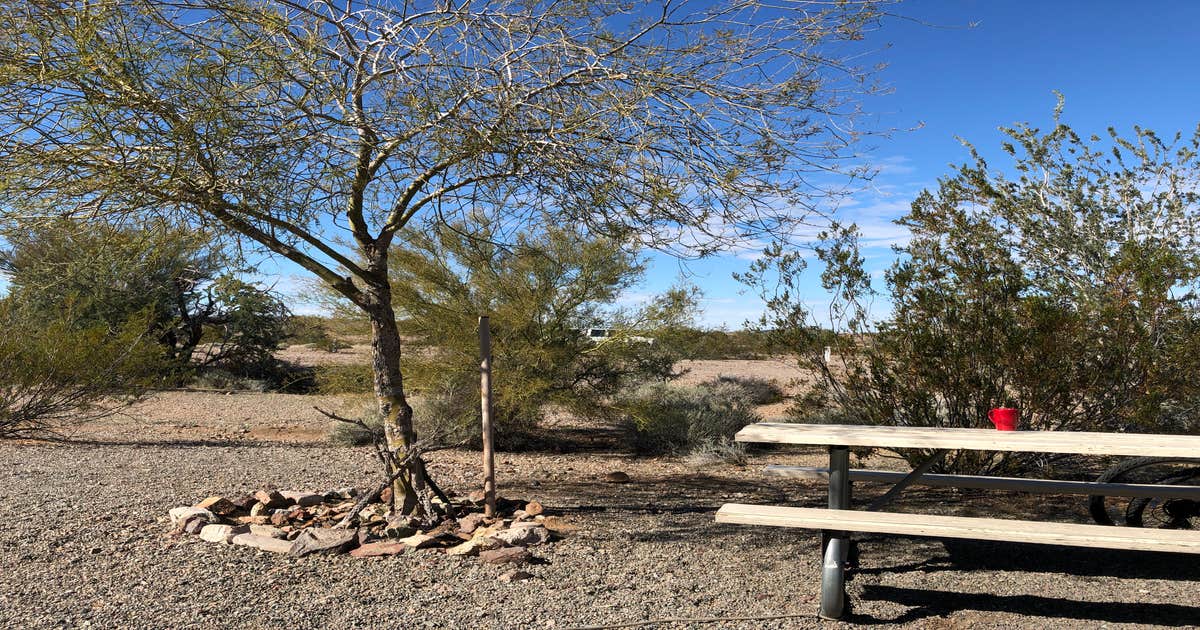 Bouse Community Park Camping | Bouse, AZ