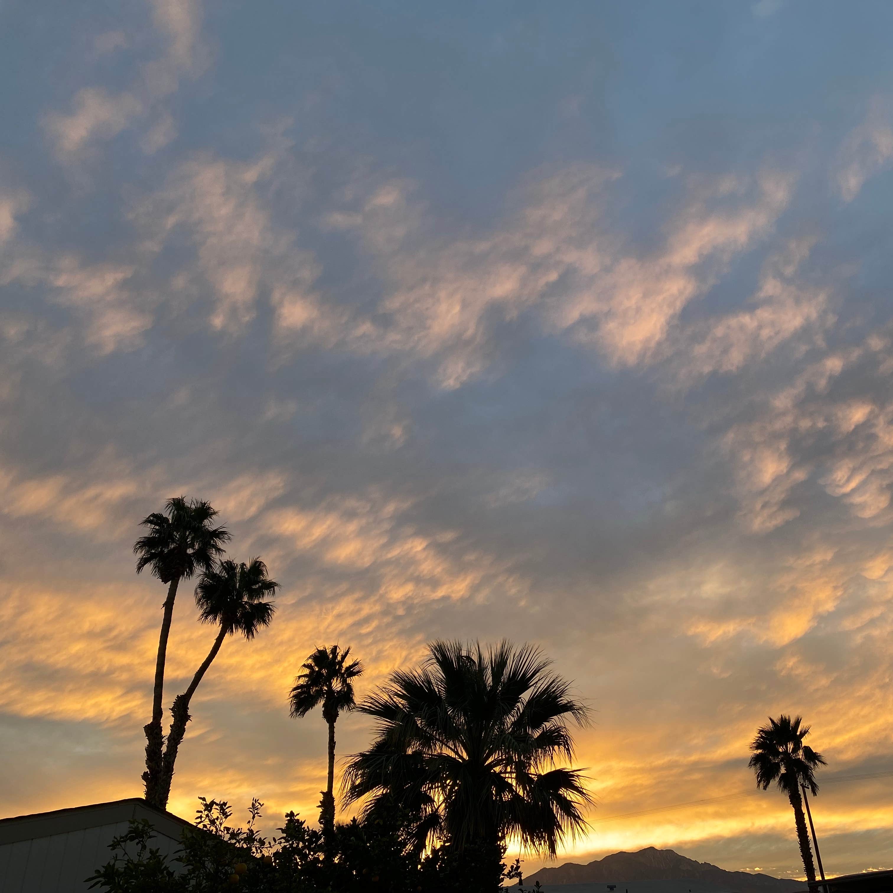 Sky Valley RV Resort Camping | The Dyrt