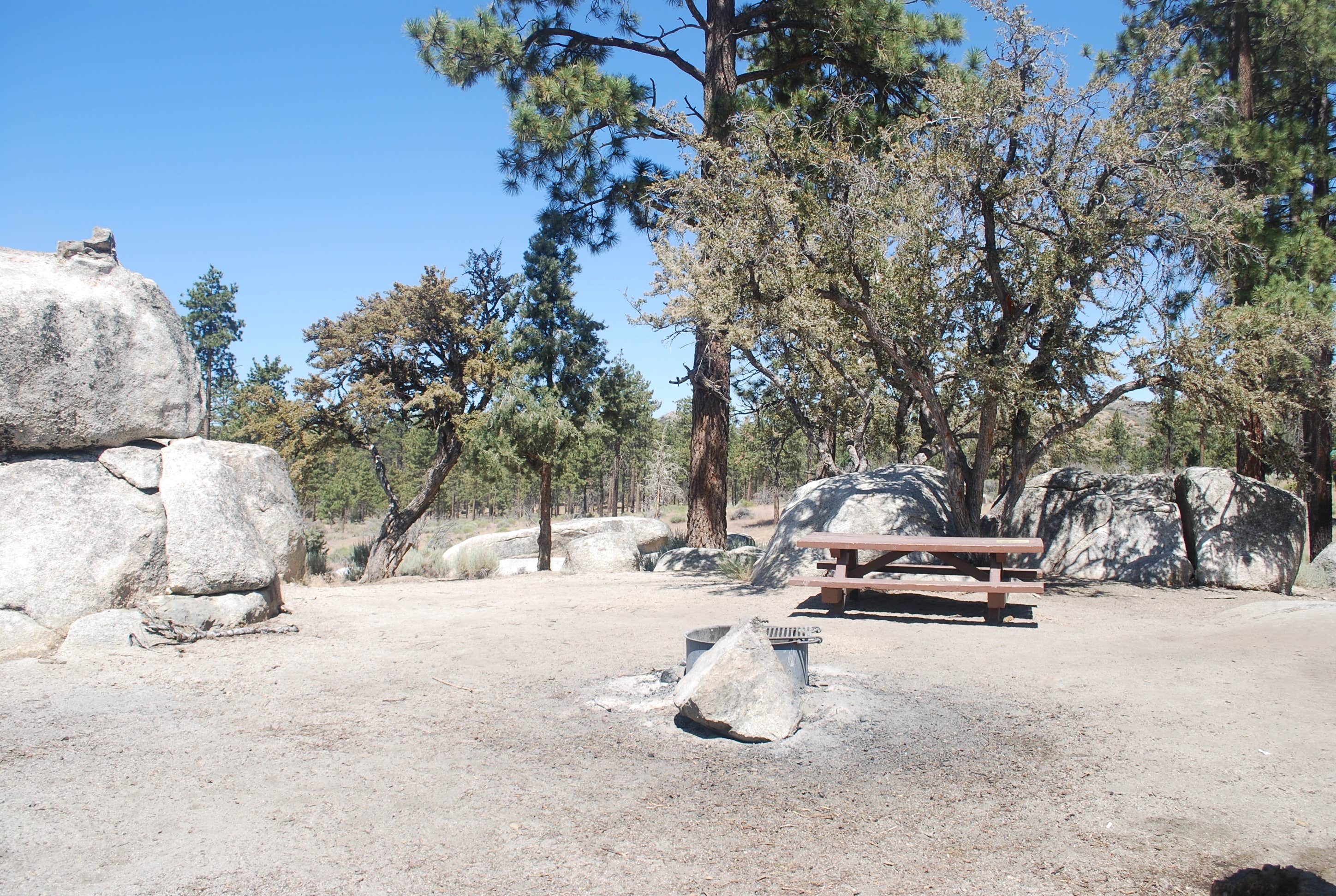 Yellow Post Campsite #25 | Fawnskin, CA