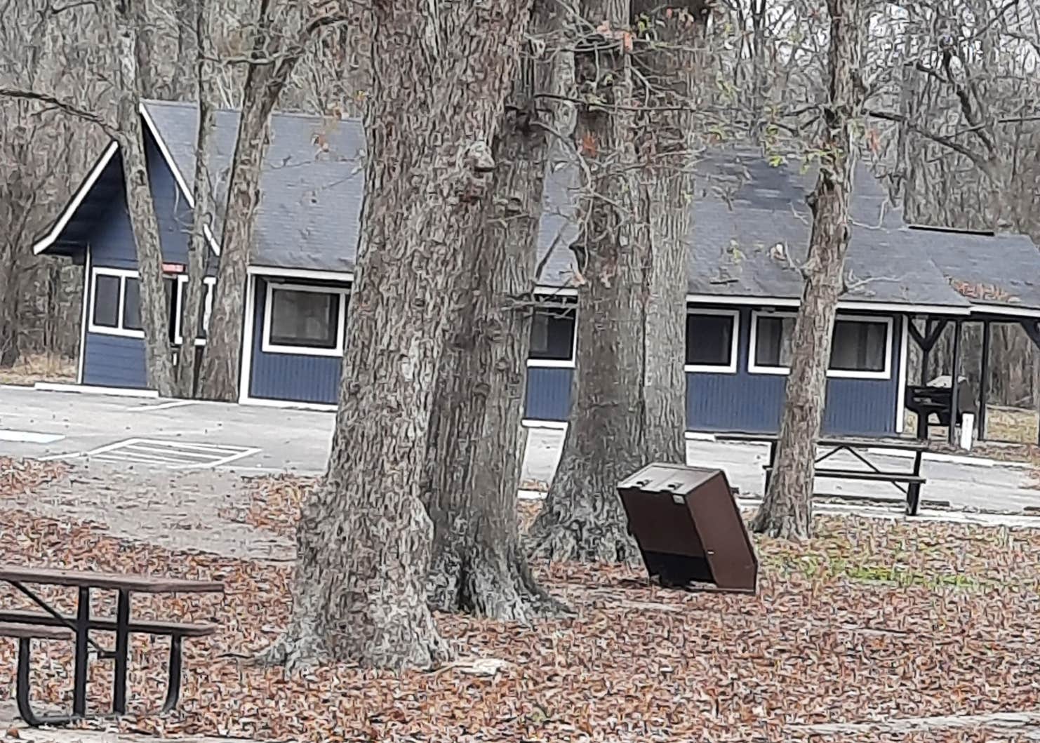 Lake Chicot State Park Camping | The Dyrt